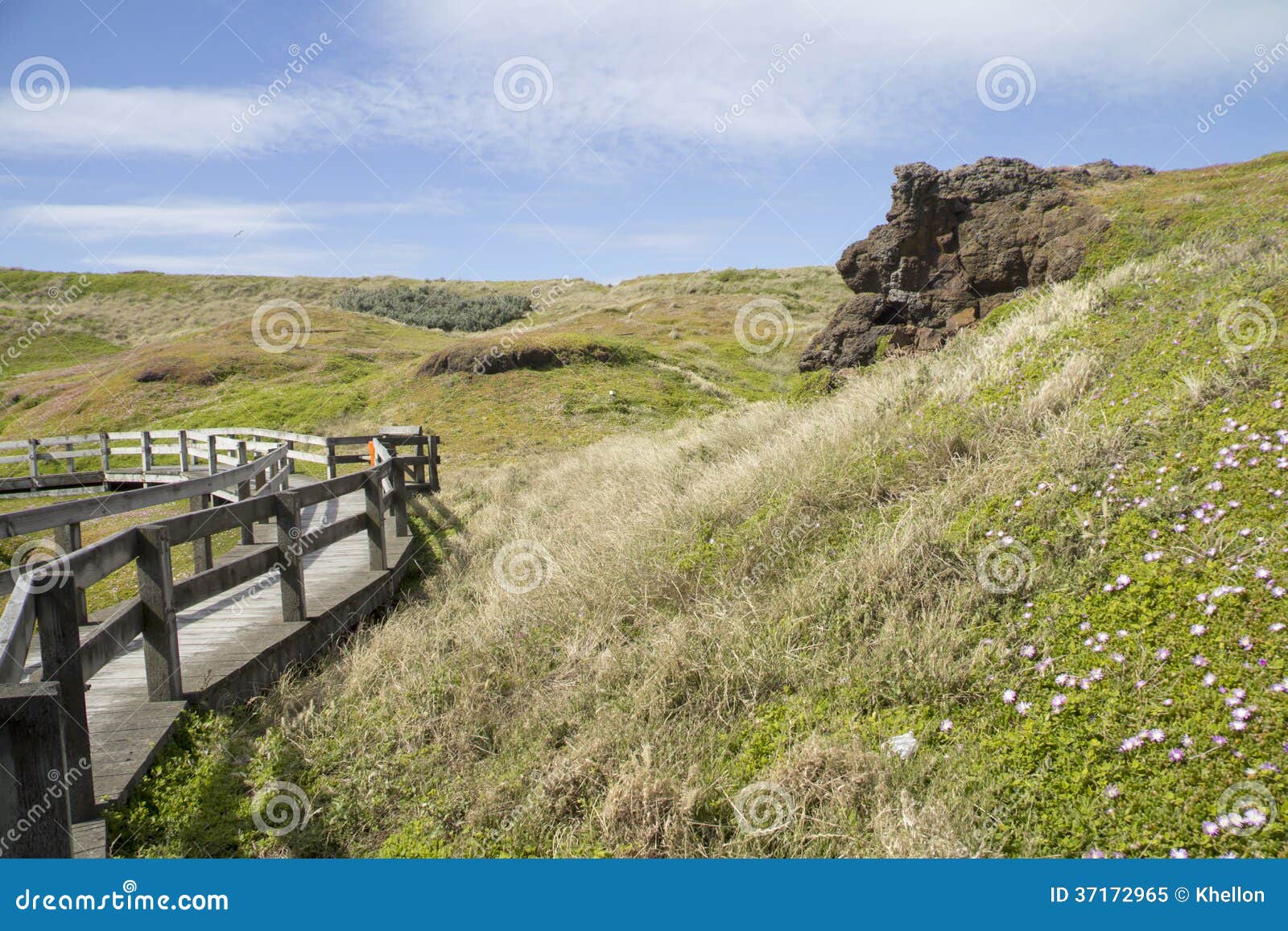 Wooden Pathway through Hills Stock Image - Image of nature, victoria ...