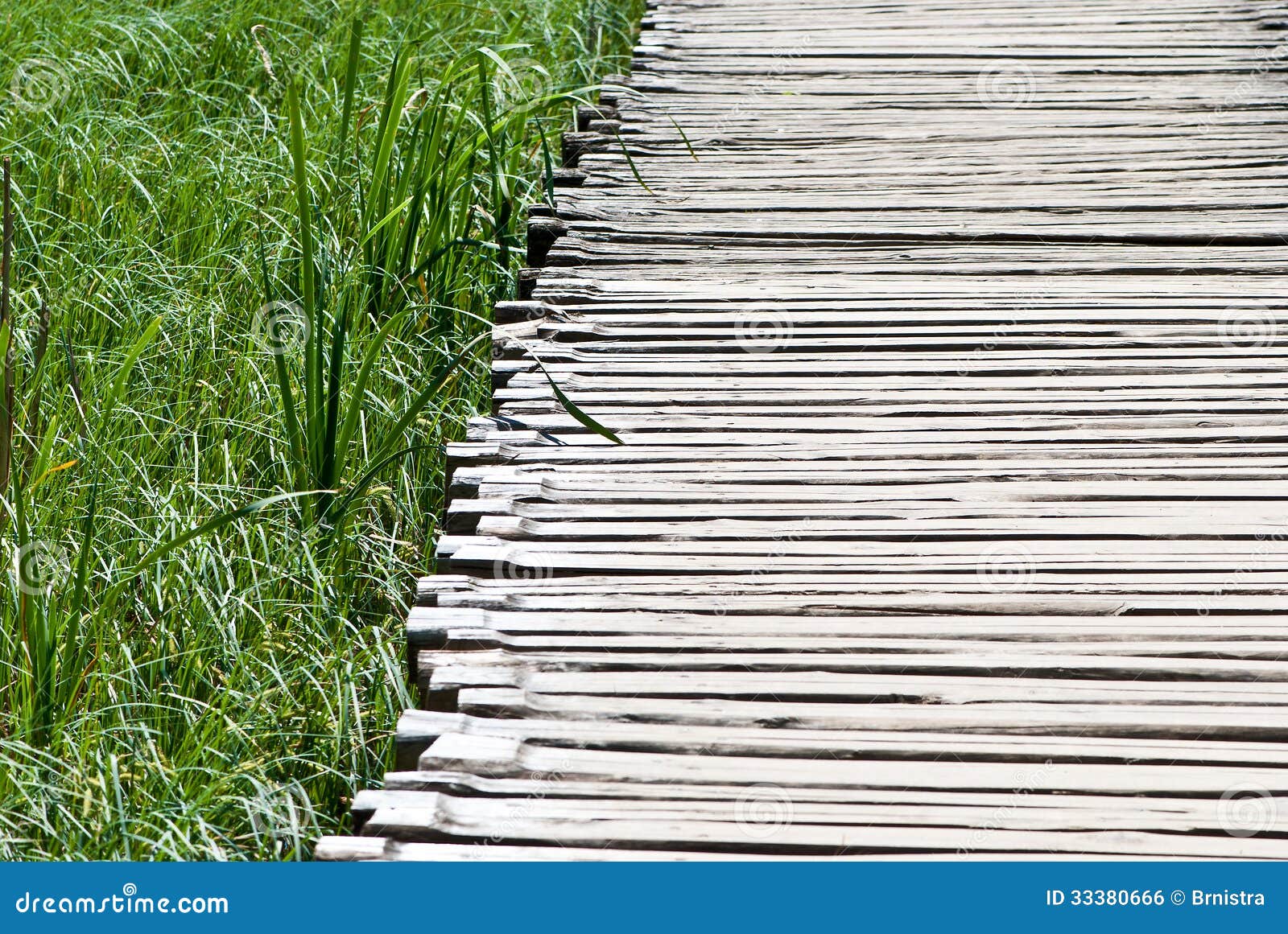 Wooden pathway stock photo. Image of silence, hiking - 33380666