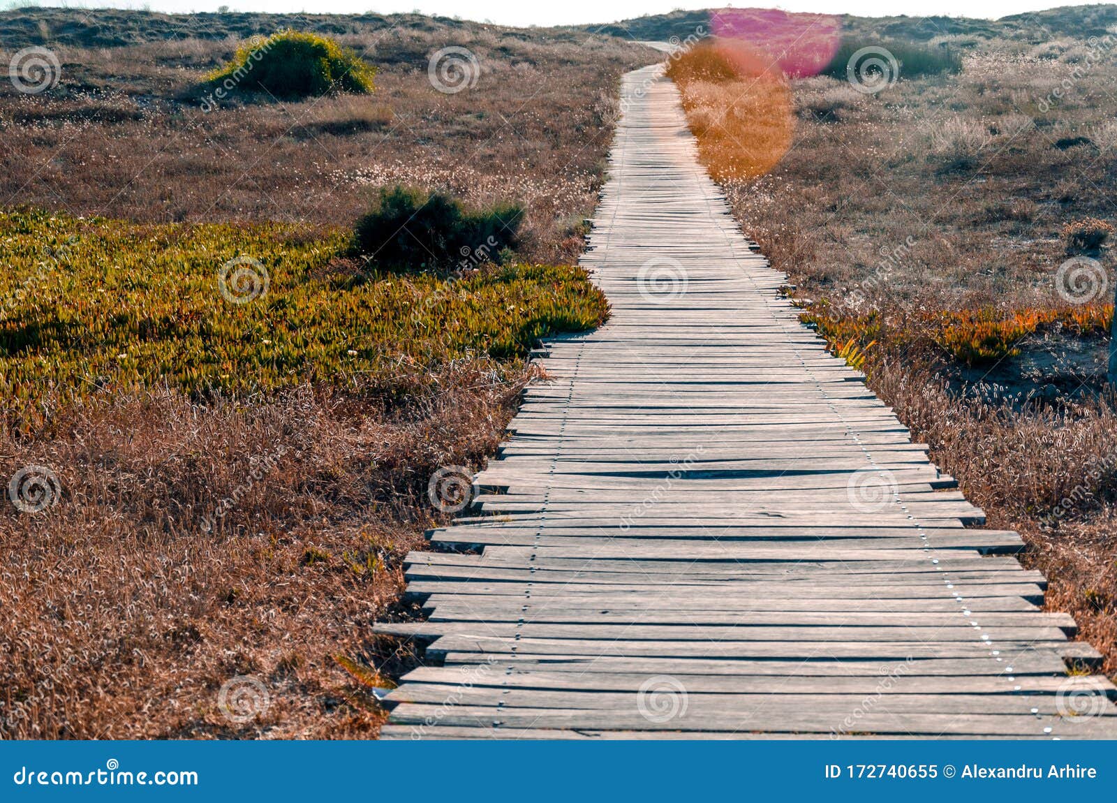 Wooden Pathway Leading into the Distance Towards Sunset Stock Image ...