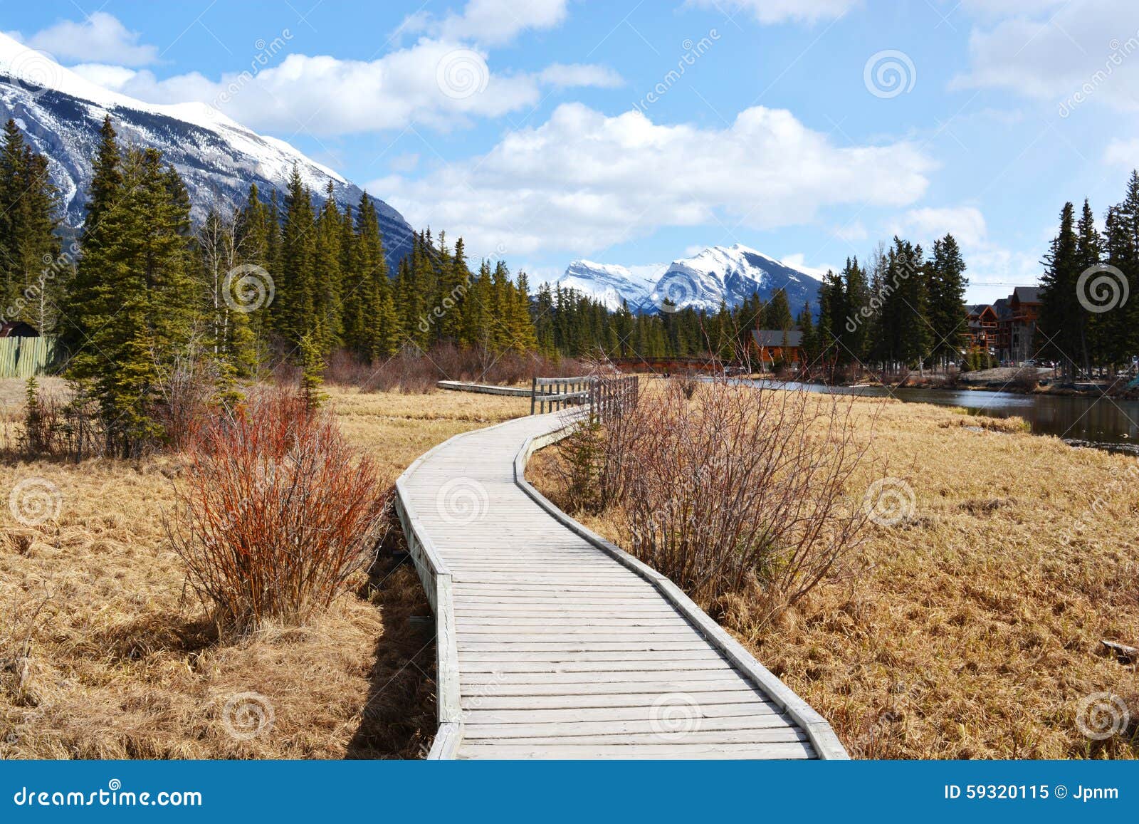 Wooden Pathway in Mountains Stock Image - Image of forest, mount: 59320115
