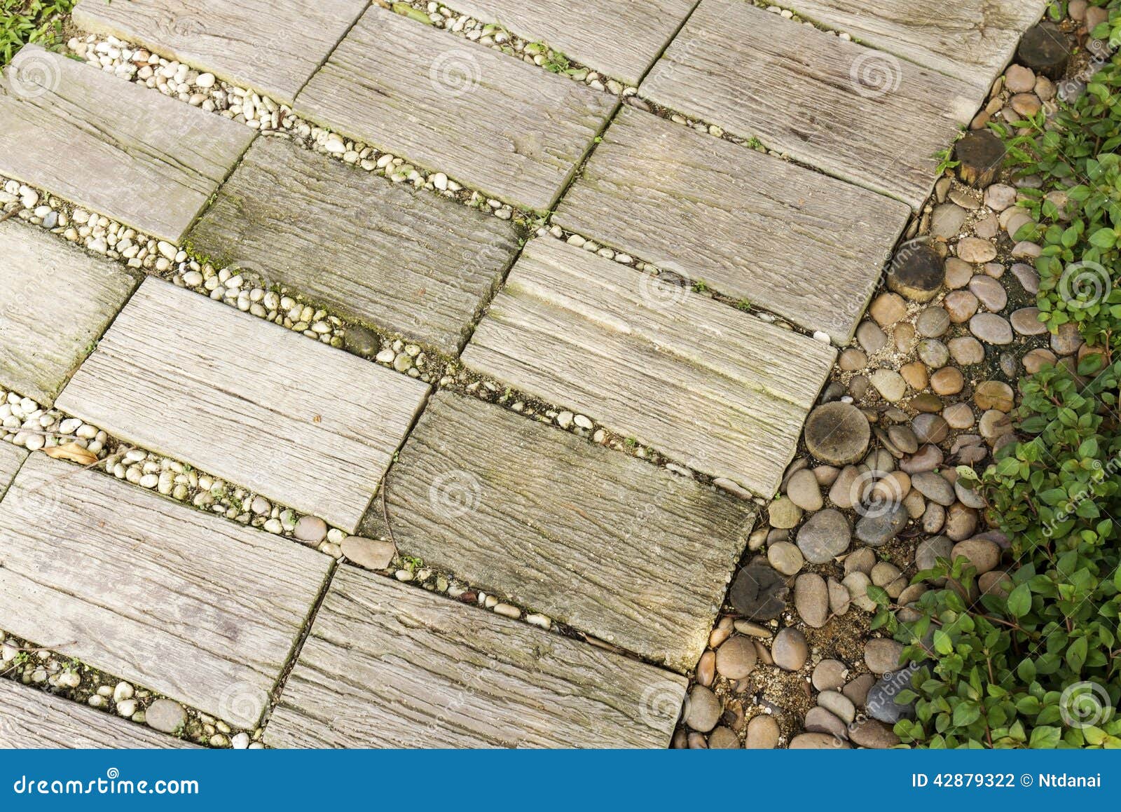 Wooden pathway stock photo. Image of green, boardwalk - 42879322