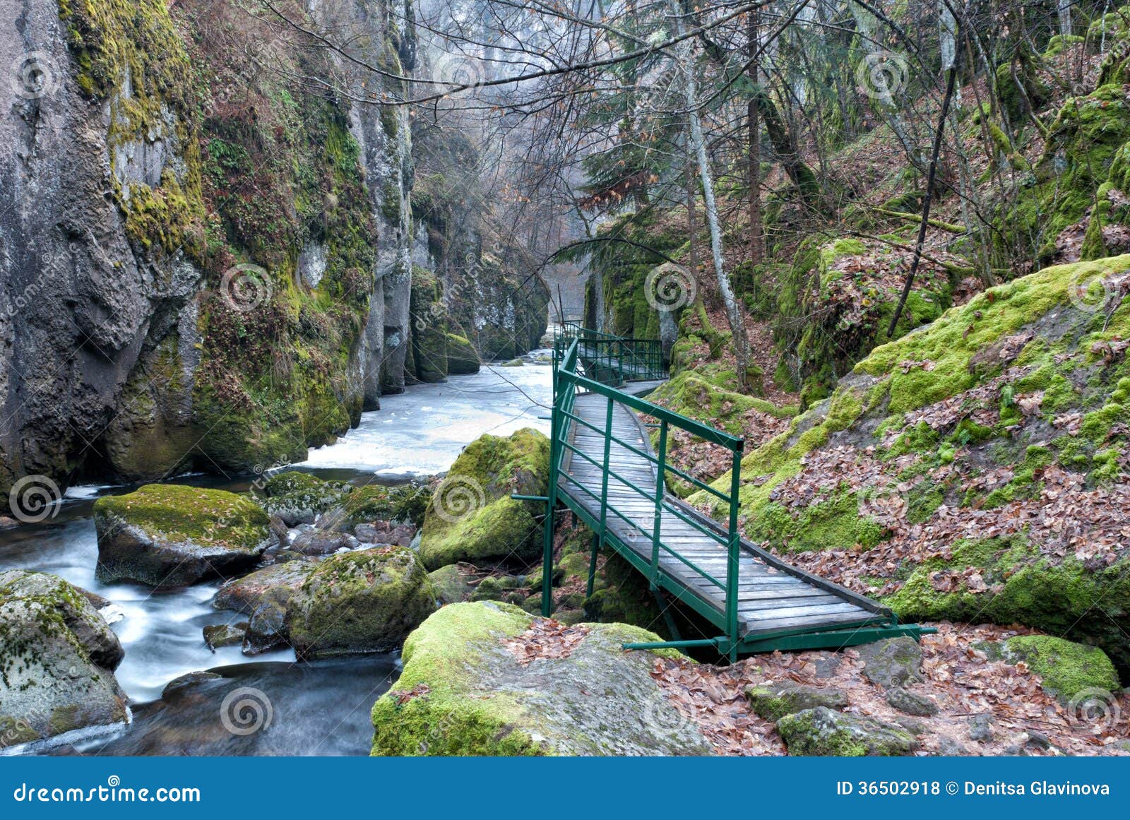 Wooden Pathway Over the River Stock Photo - Image of vacation, space ...