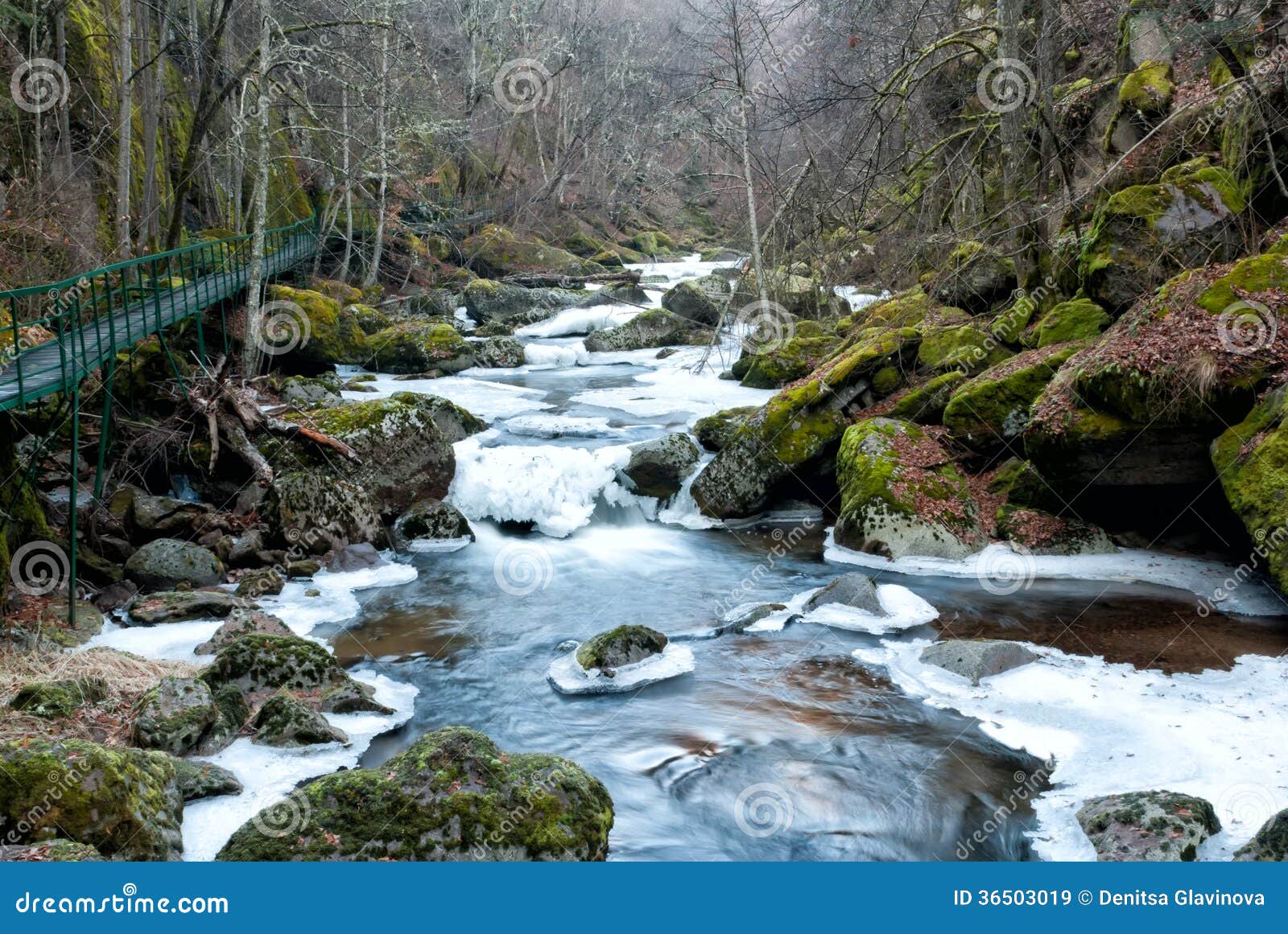 Wooden Pathway Over the River Stock Image - Image of tree, country ...