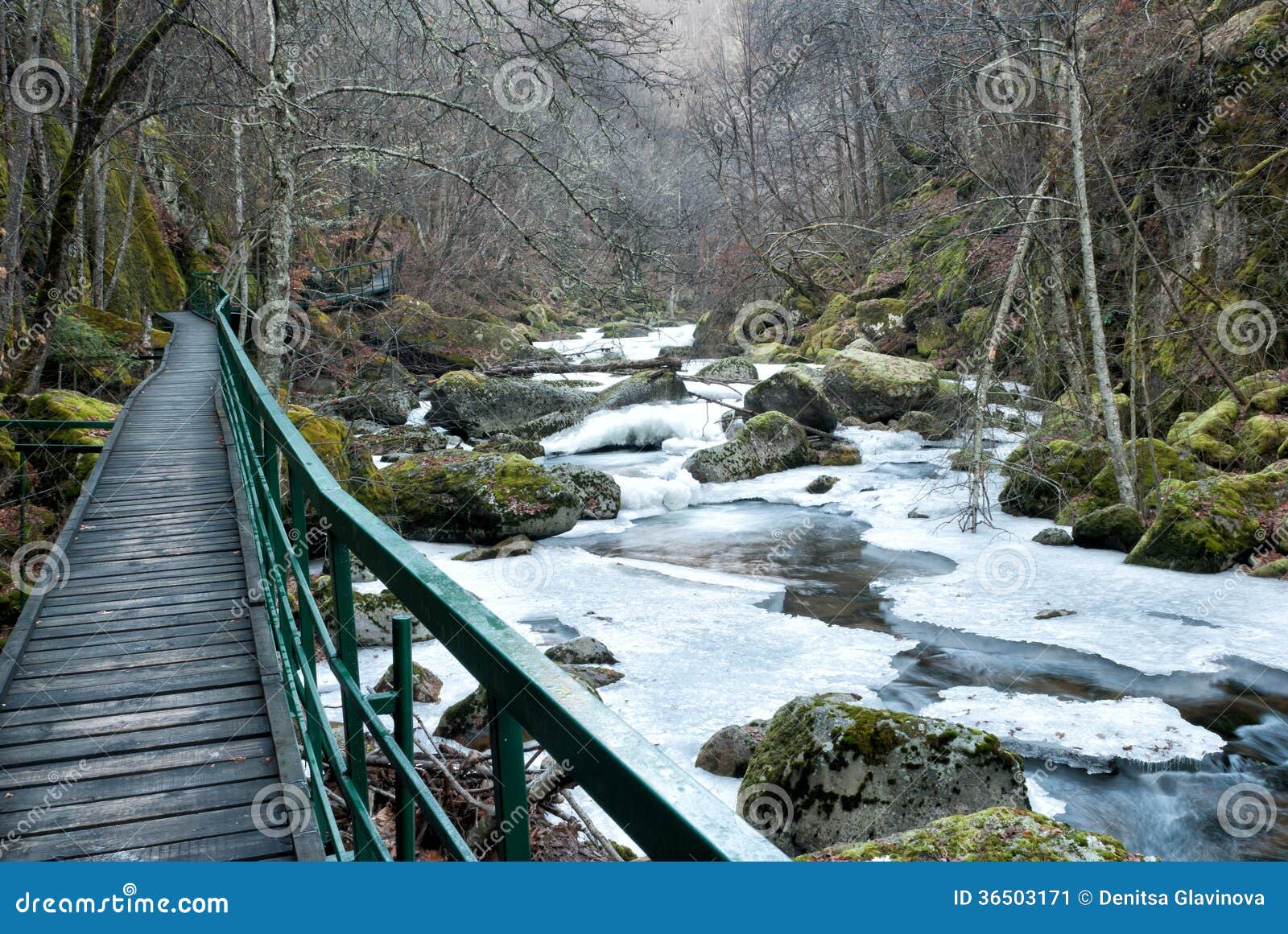 Wooden Pathway Over the River Stock Image - Image of trekking, park ...