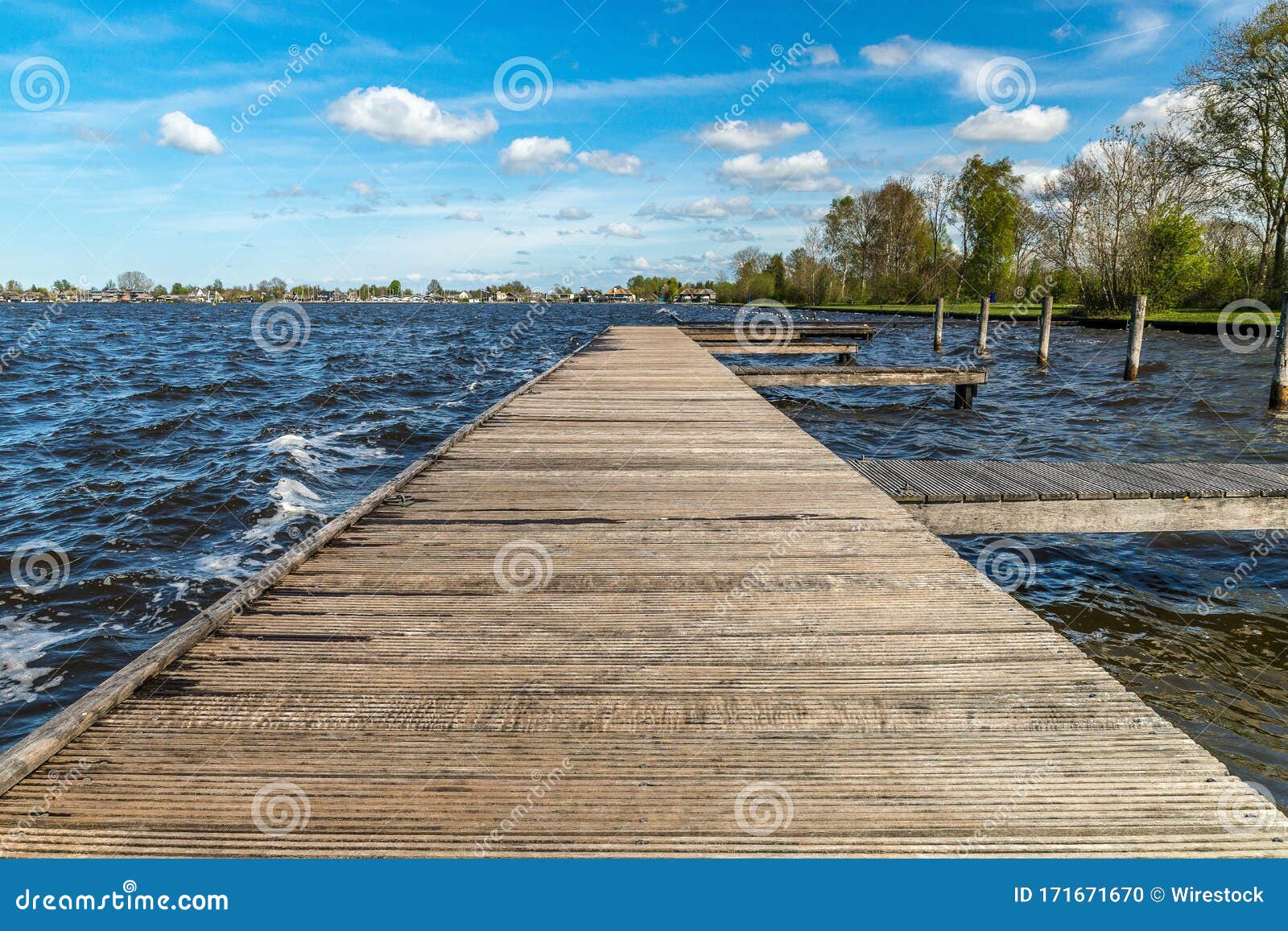 Wooden Pathway Over the Water with Green Trees on the Side Under a Blue ...