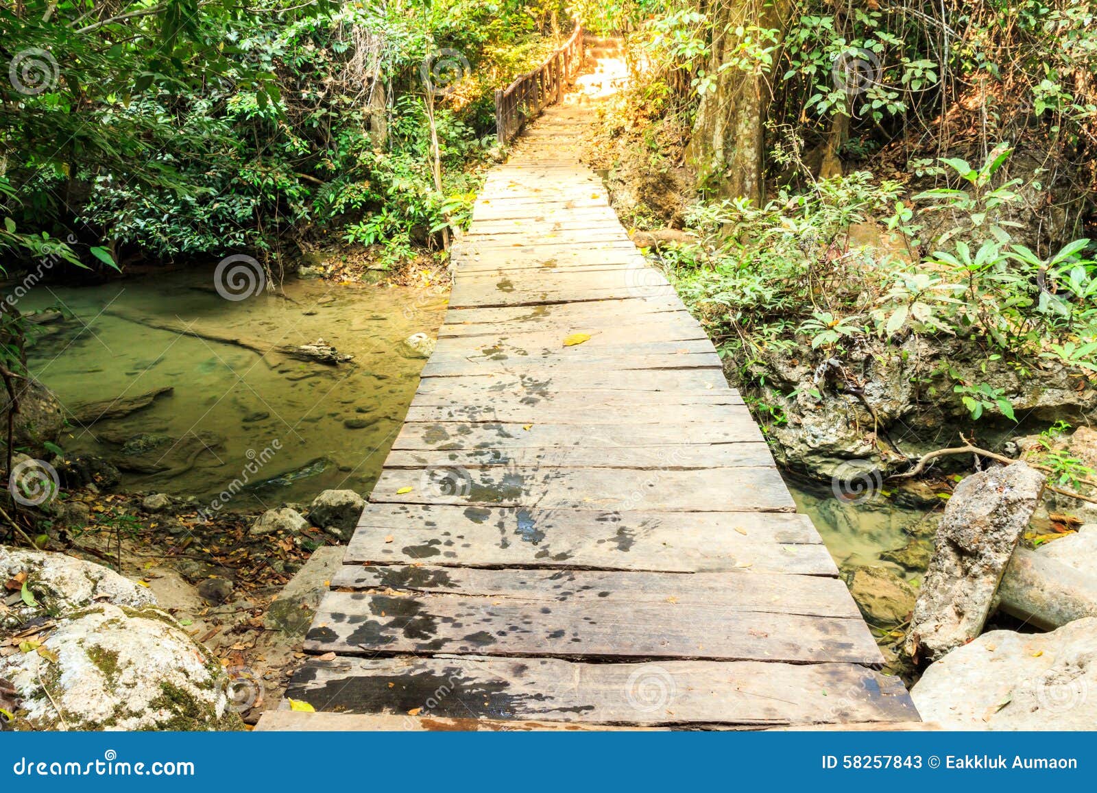 Wooden Pathway Over Waterfall in Forest Stock Image - Image of bridge ...