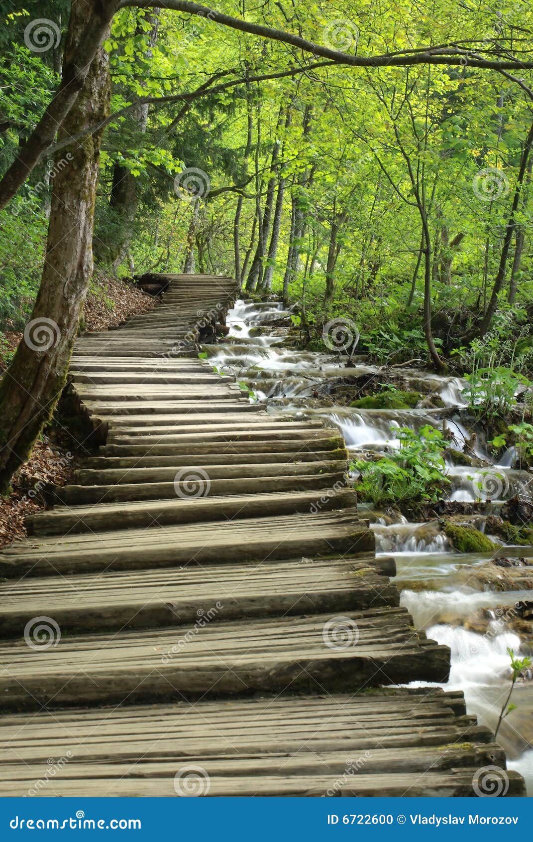 Wooden Pathway in Spring Forest Near Stream Stock Photo - Image of ...