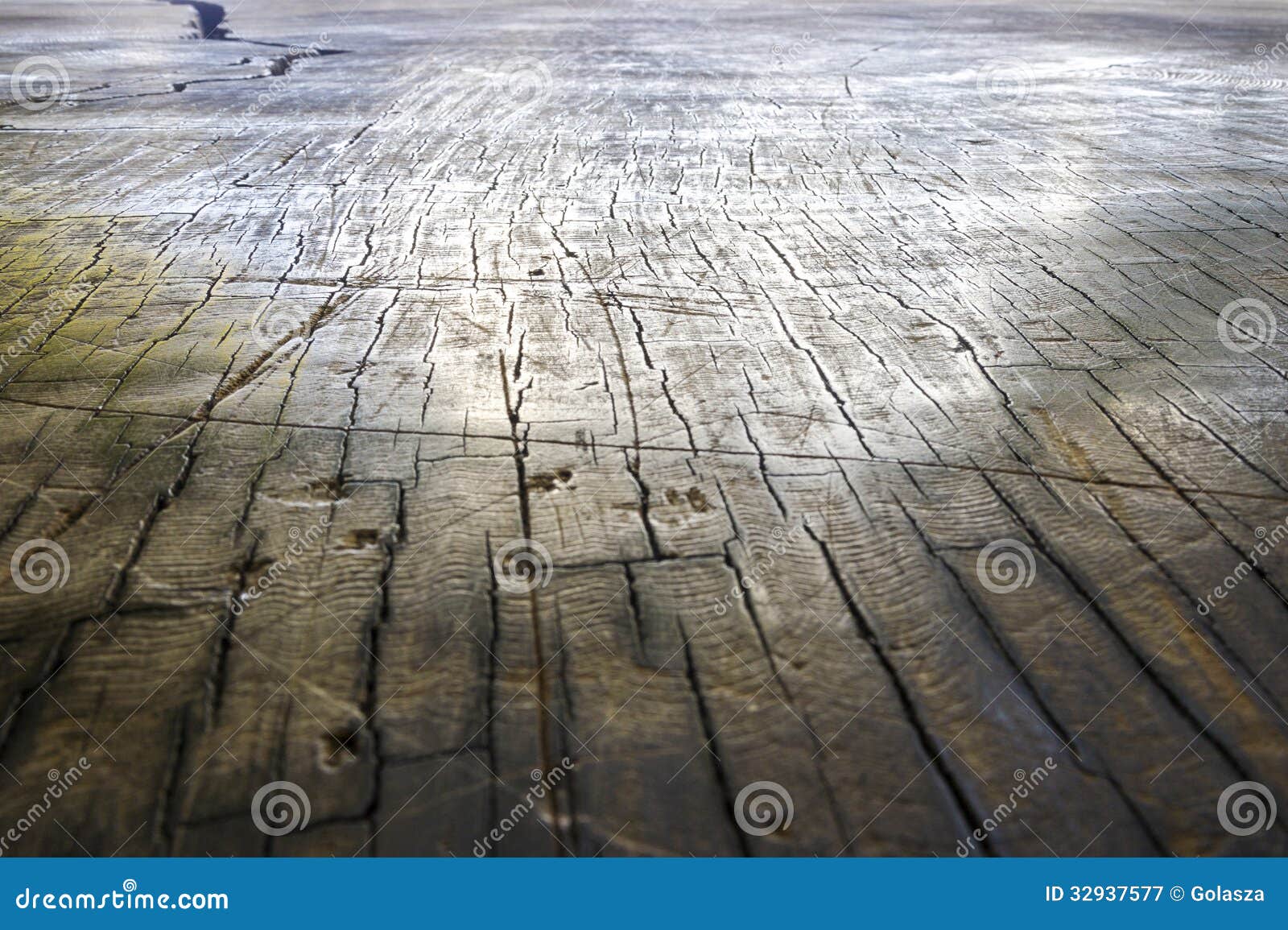 Wooden Pattern of Sequoia Tree Rings Stock Image - Image of nature ...
