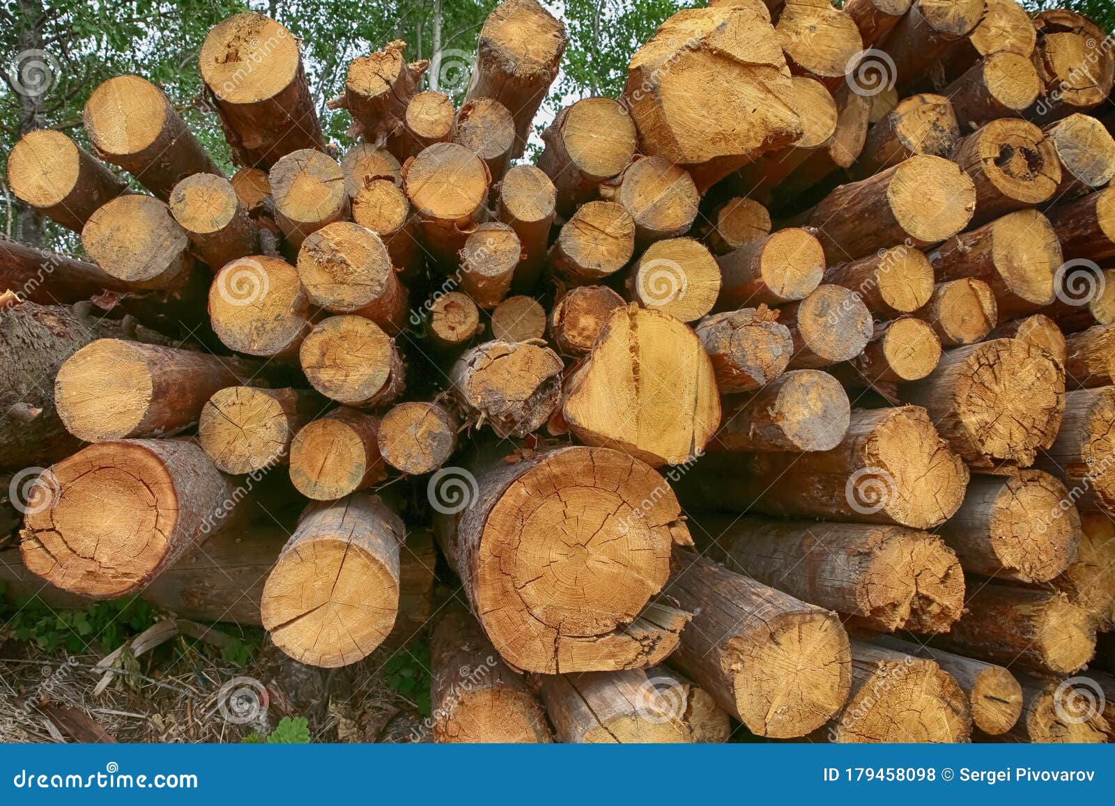Wooden Pattern Stack of Sawn Tree Trunks Folded for Drying Stock Photo ...