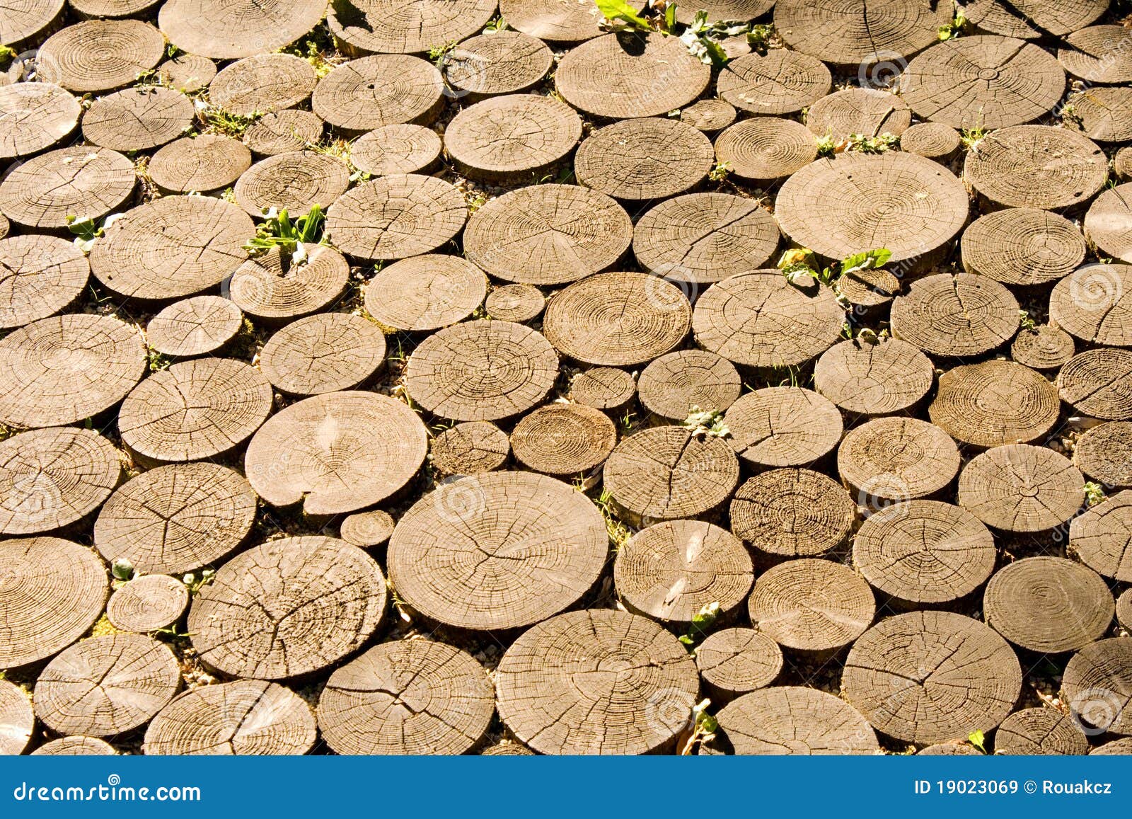 Wooden pavement stock image. Image of road, woodcutter - 19023069