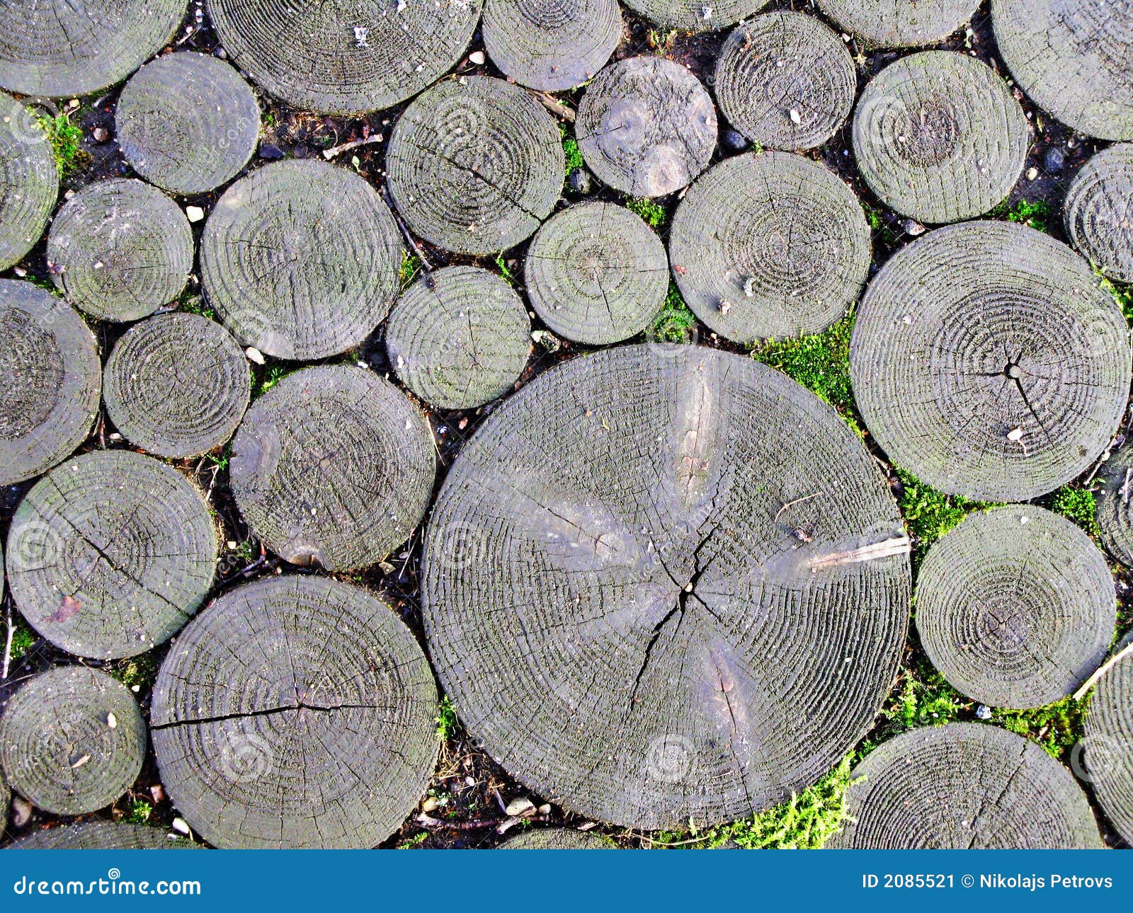 Wooden pavement stock image. Image of material, covering - 2085521