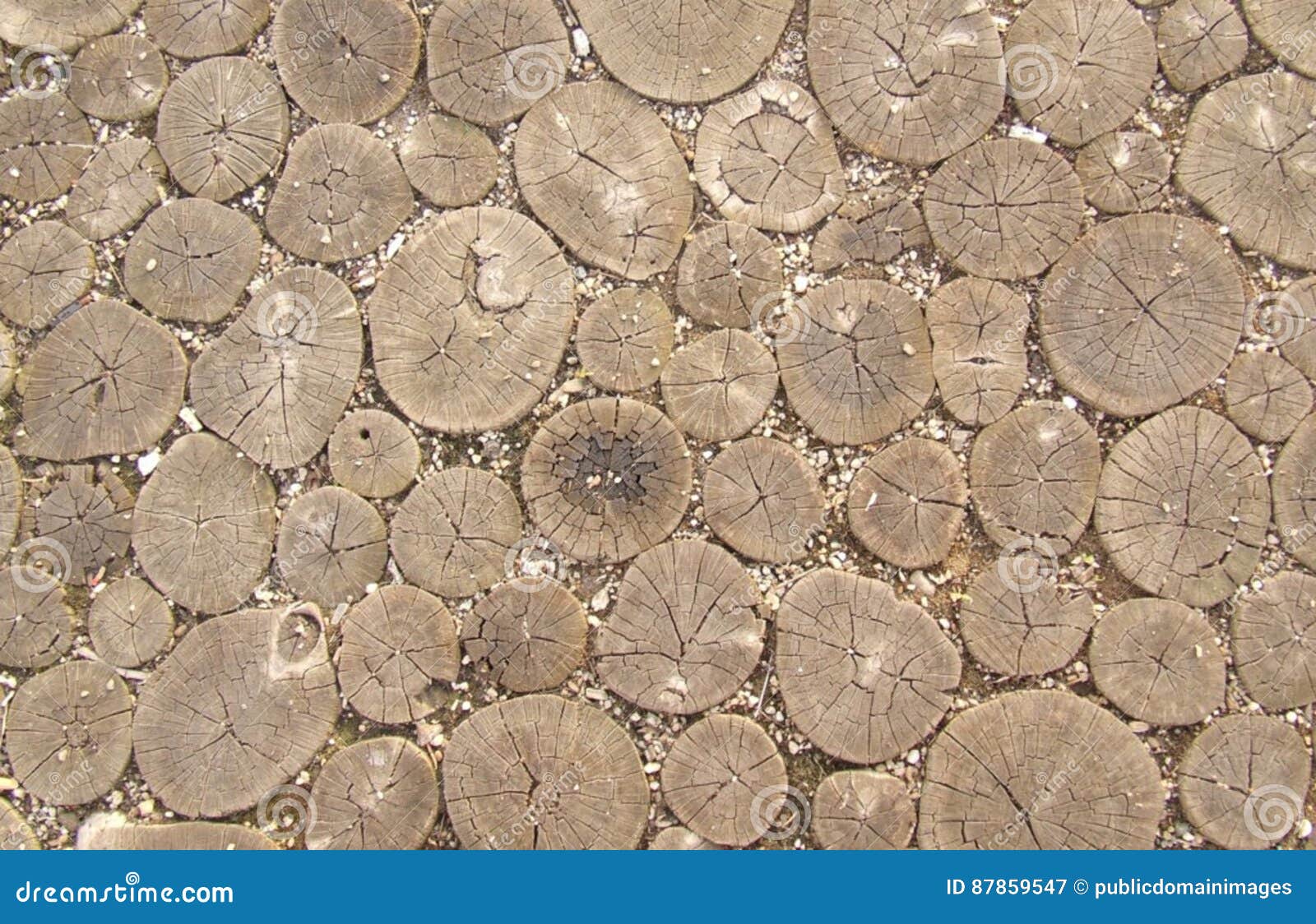 Wooden-pavement Picture. Image: 87859547