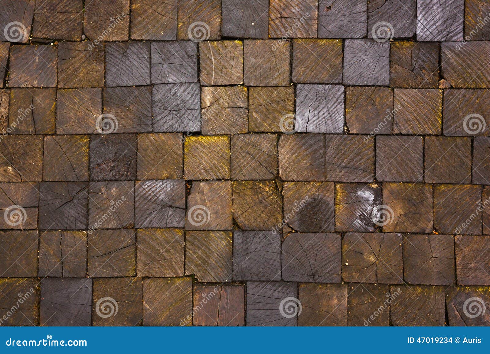 Wooden pavement texture stock photo. Image of wood, block - 47019234
