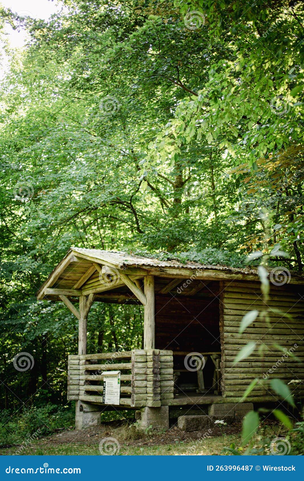 Wooden pavilion in forest stock image. Image of style - 263996487