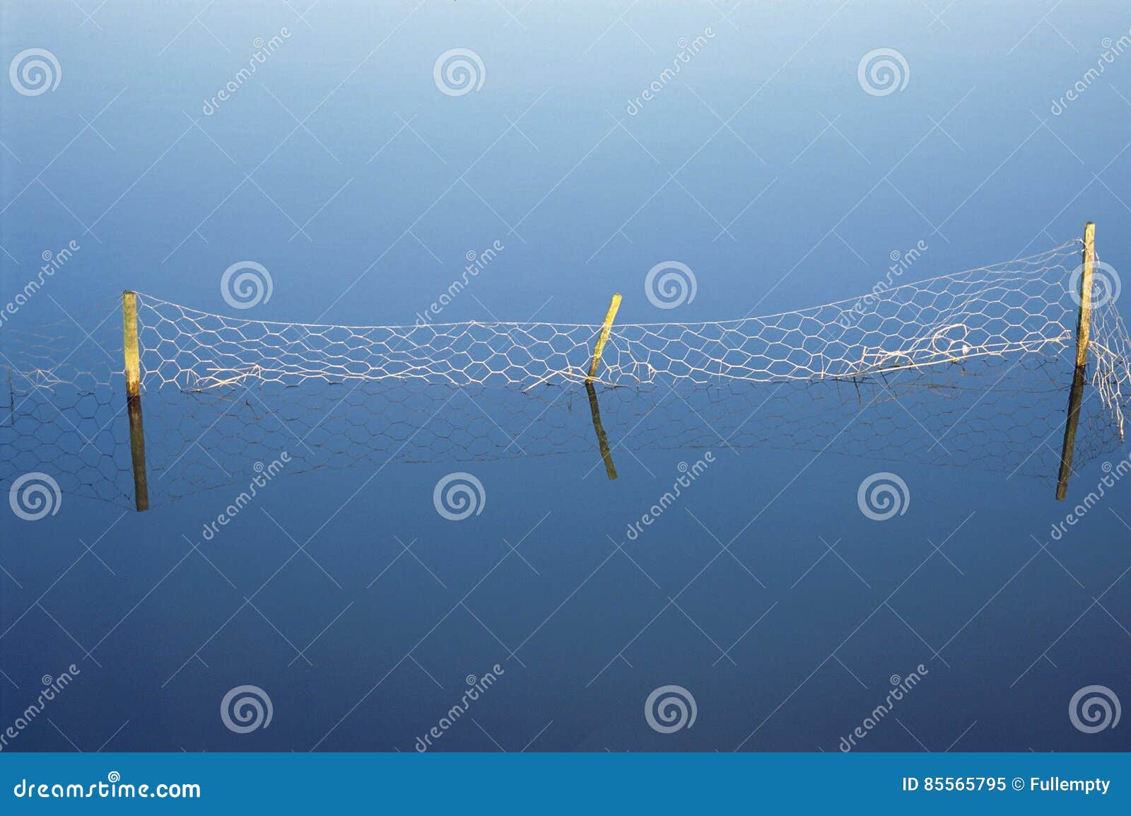 Wooden Pegs and Nets in Water Stock Image - Image of mirror, metal ...