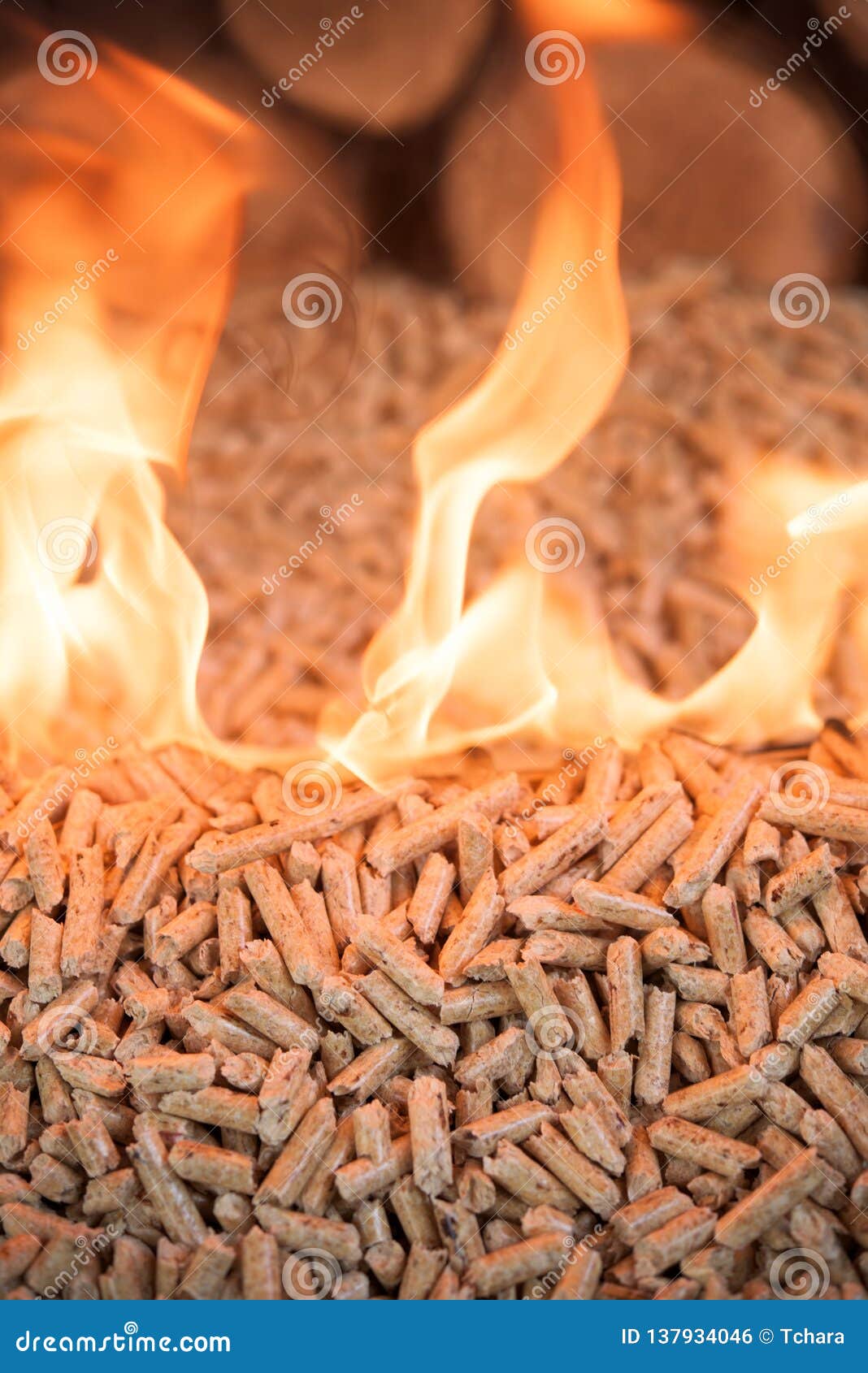 Wooden pellets in fire stock photo. Image of flaming - 137934046