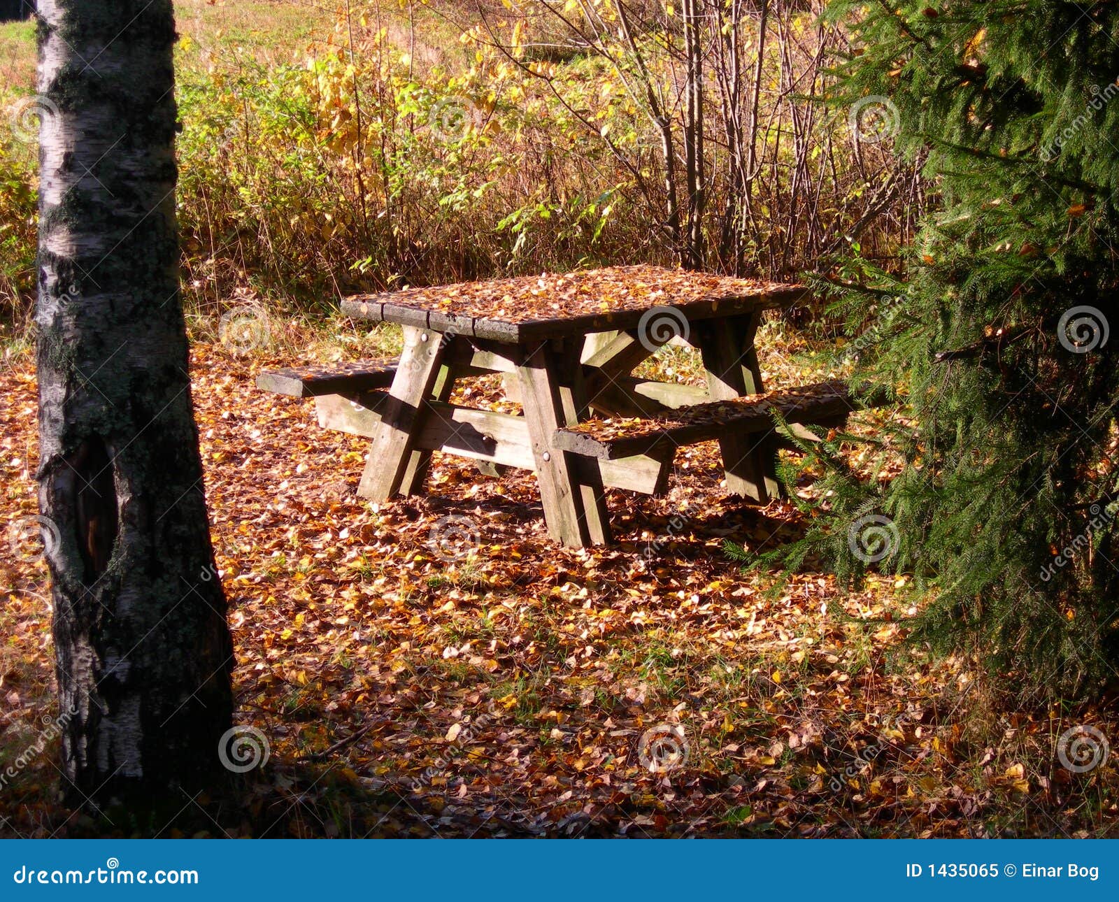 Wooden Picnic Table stock image. Image of secluded, forest - 1435065