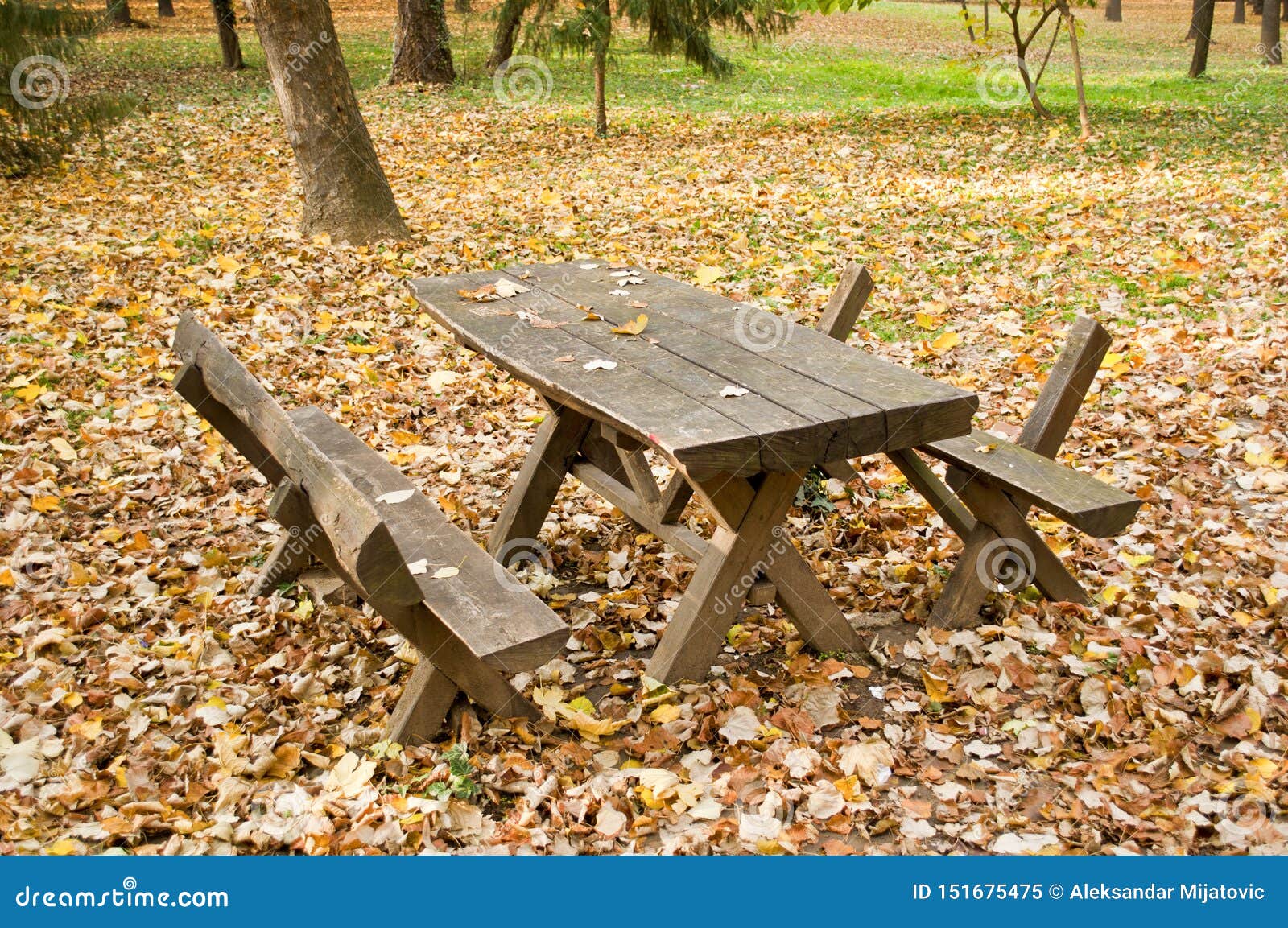 Wooden Picnic Table and Bench in Autumn Forest Stock Image - Image of ...