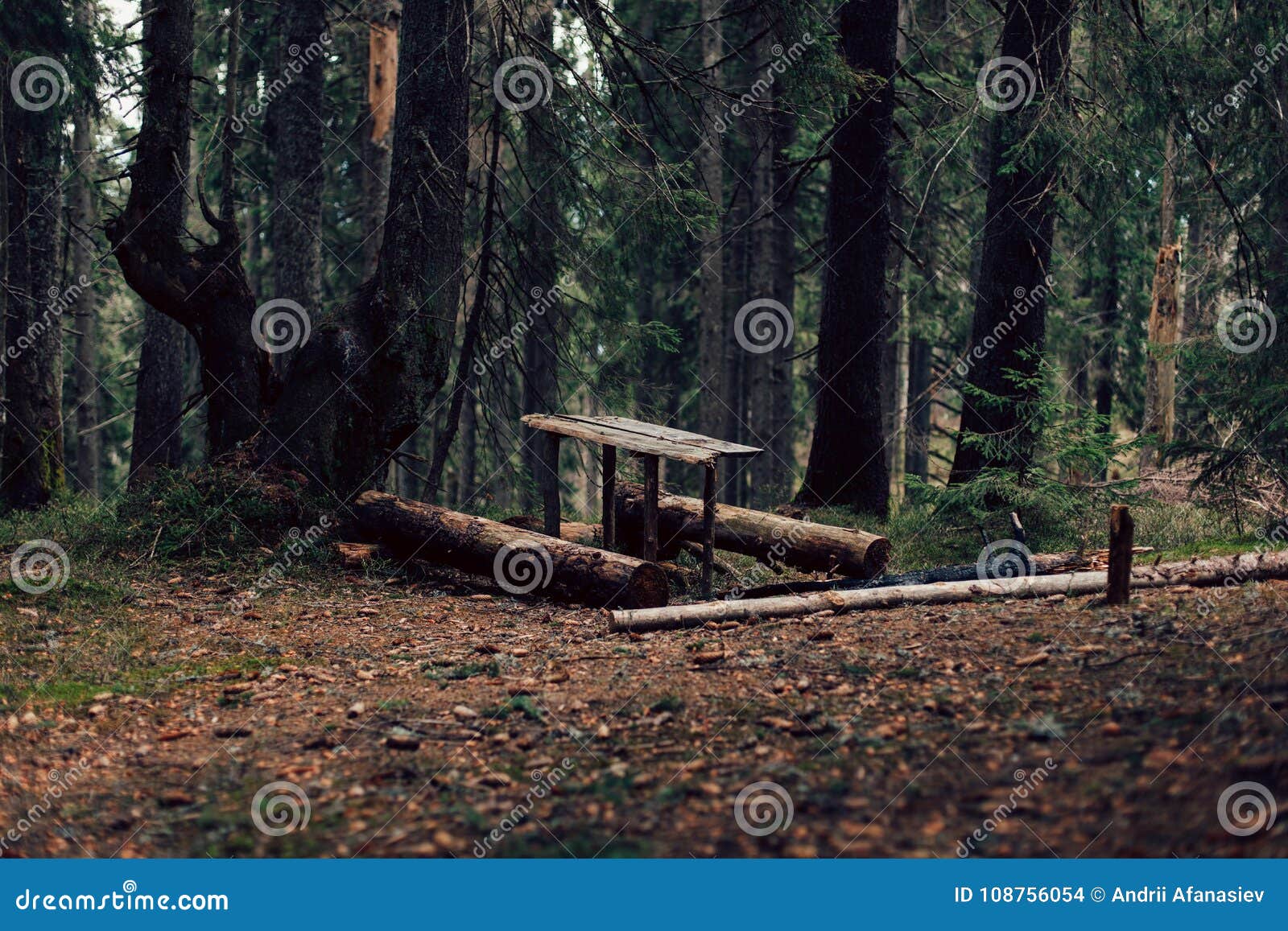 Wooden Picnic Table and Bench in a Forest at Fall Stock Photo - Image ...