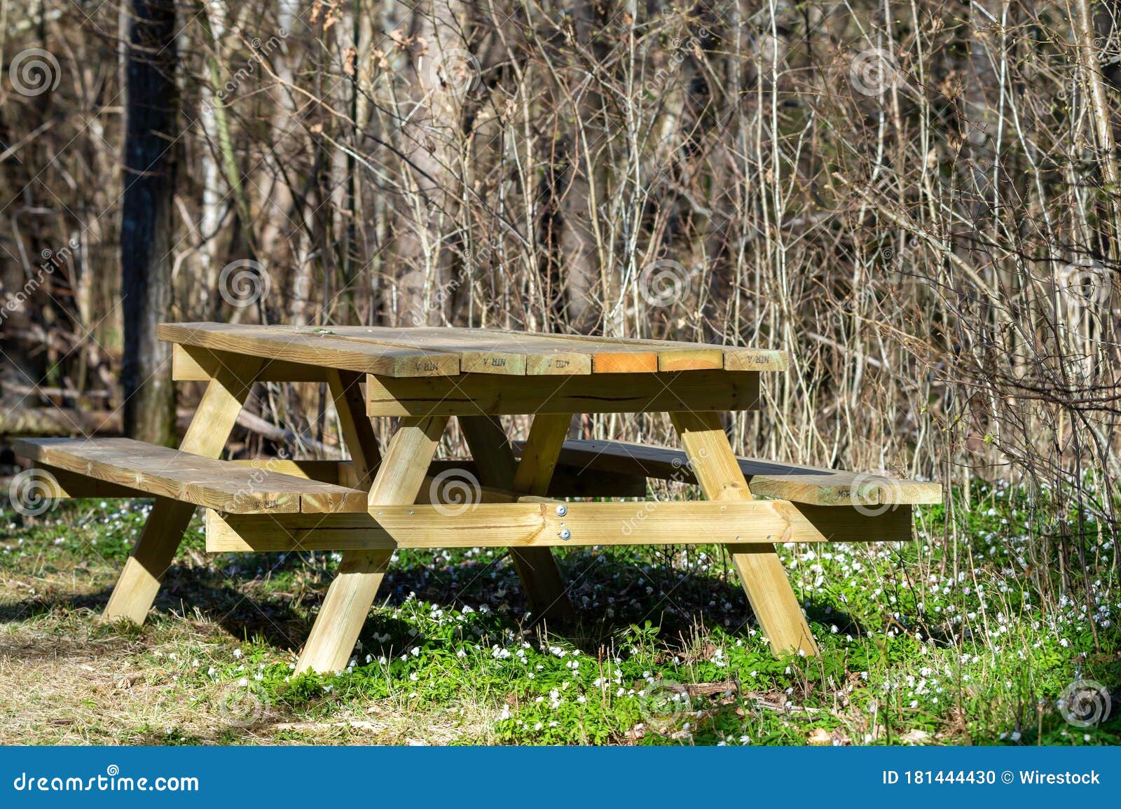 Wooden Picnic Table in the Forest during Daytime Stock Photo - Image of ...