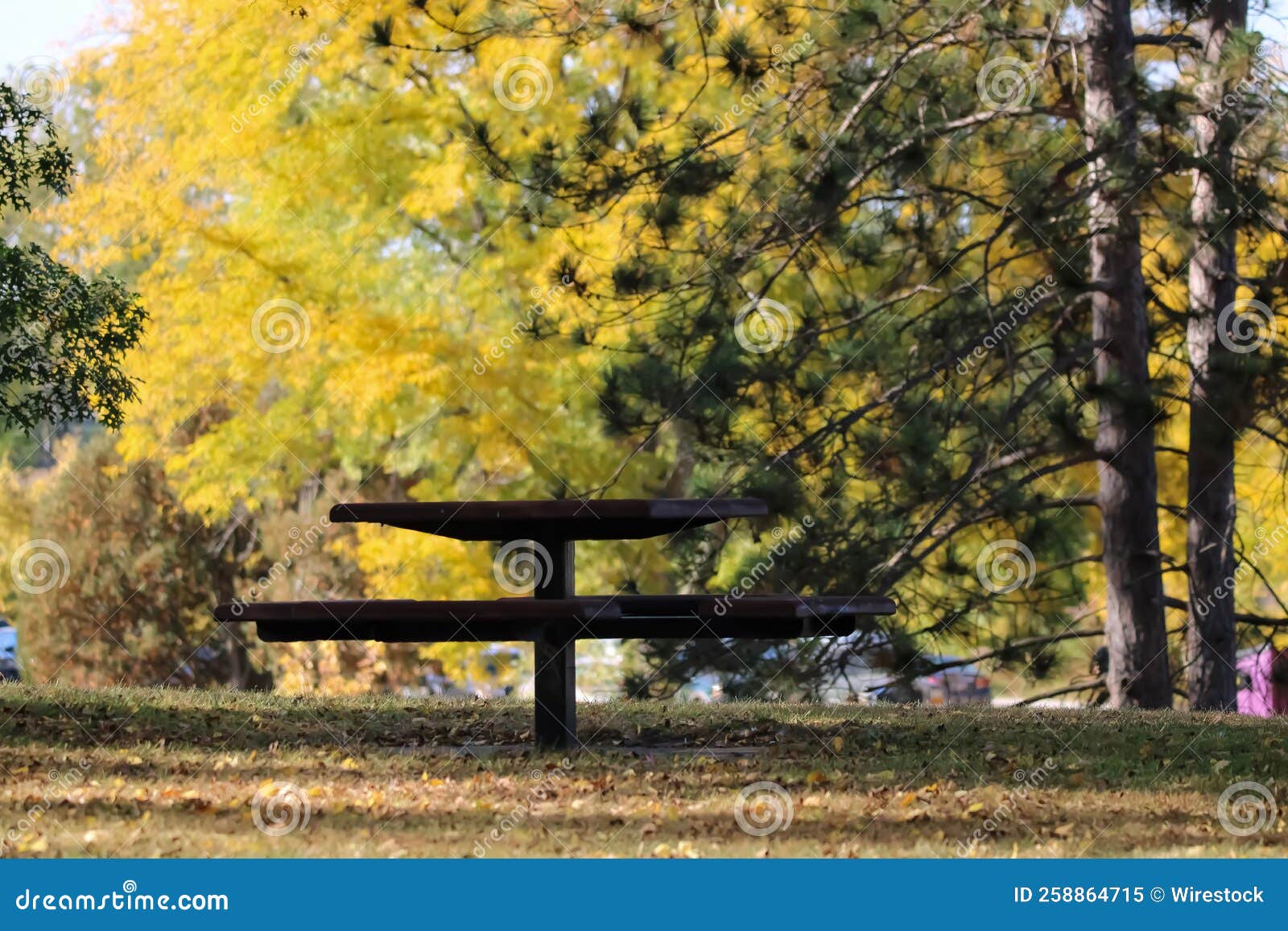 Wooden Picnic Table in a Park during Autumn Stock Image - Image of ...