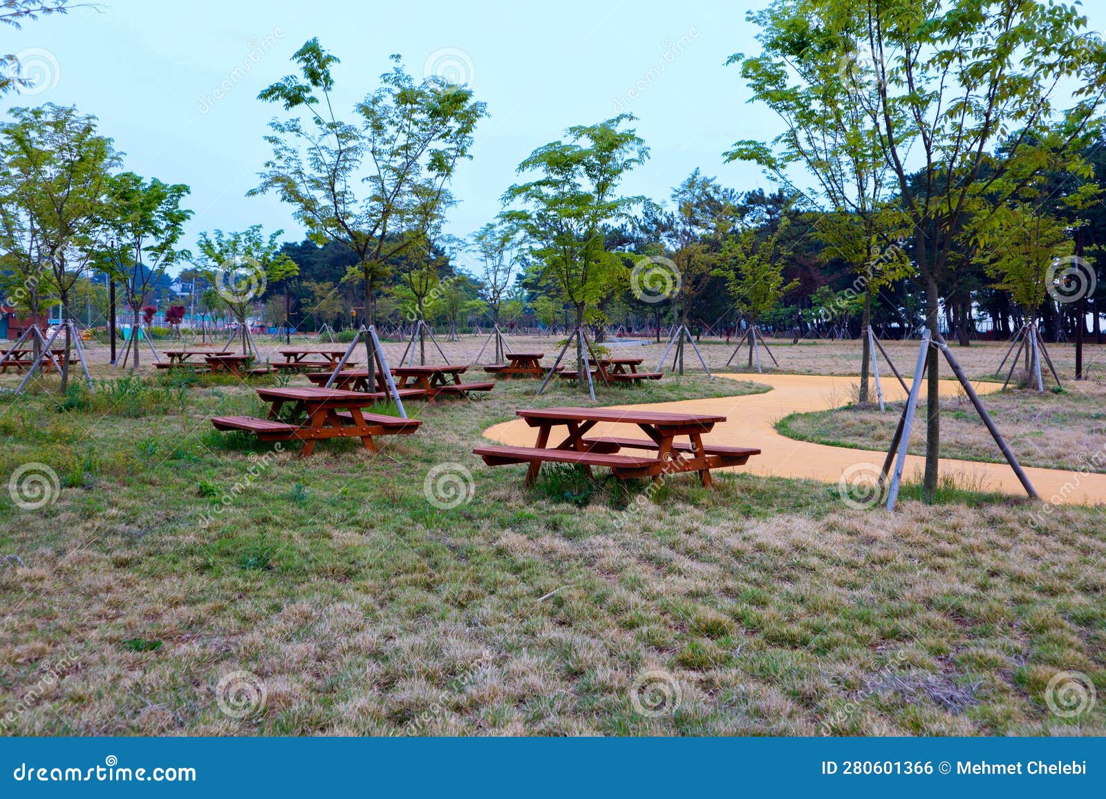Wooden Picnic Tables in the Park Stock Photo - Image of beauty, leisure ...