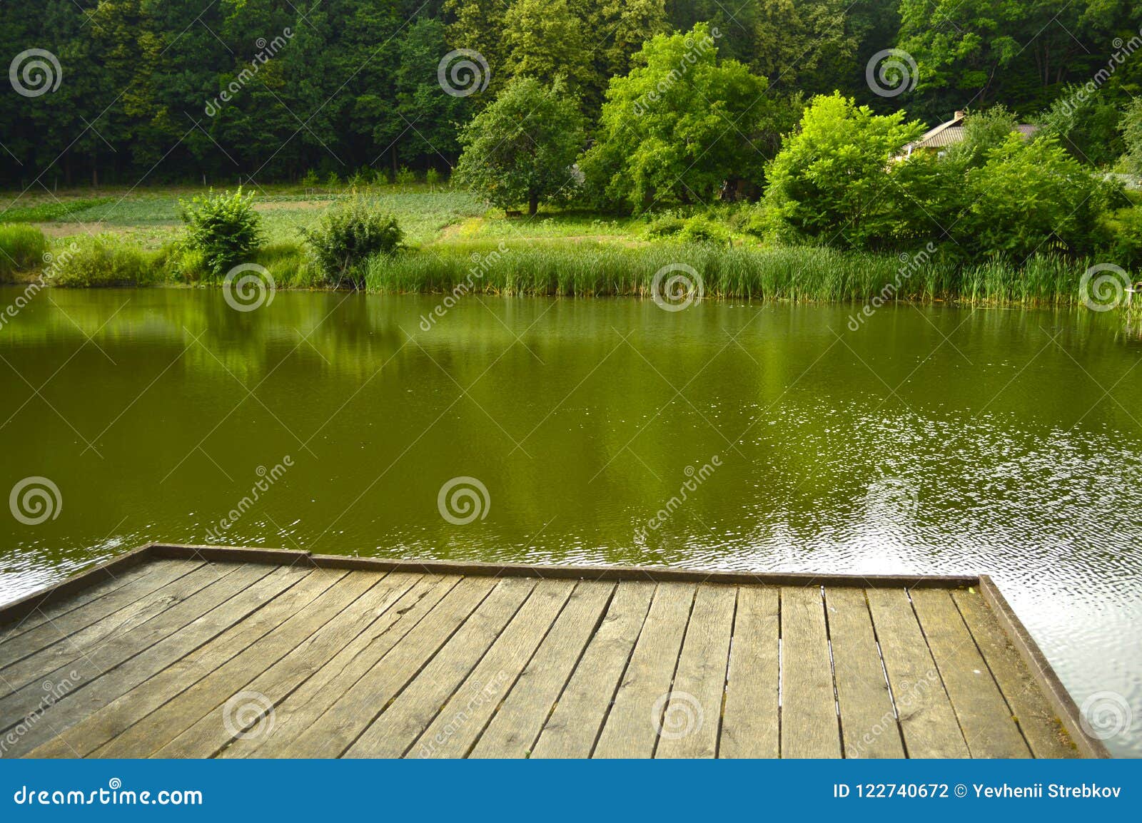 Wooden Pier on a Beautiful Forest Lake Stock Photo - Image of outdoor ...