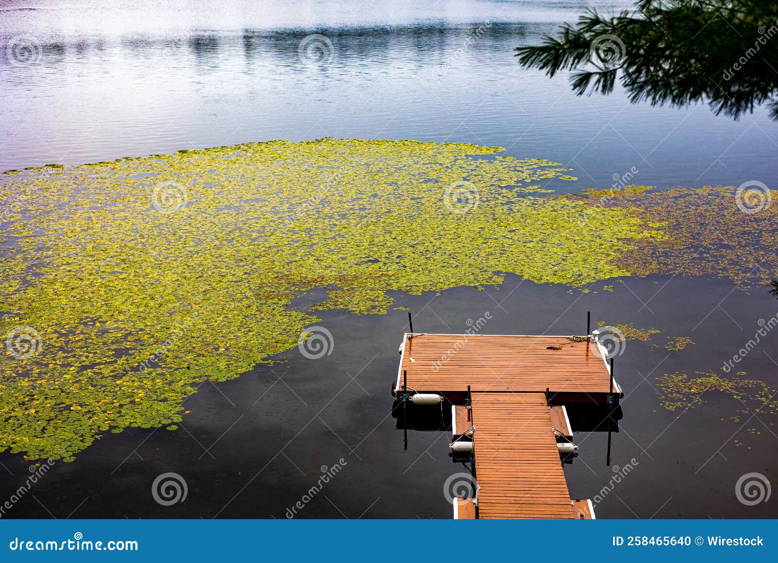 Wooden Pier at the Lake Shore Stock Photo - Image of flow, water: 258465640