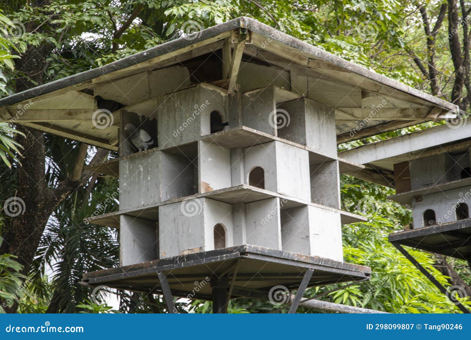 Wooden Pigeon House Inside the Park Stock Image - Image of portrait ...
