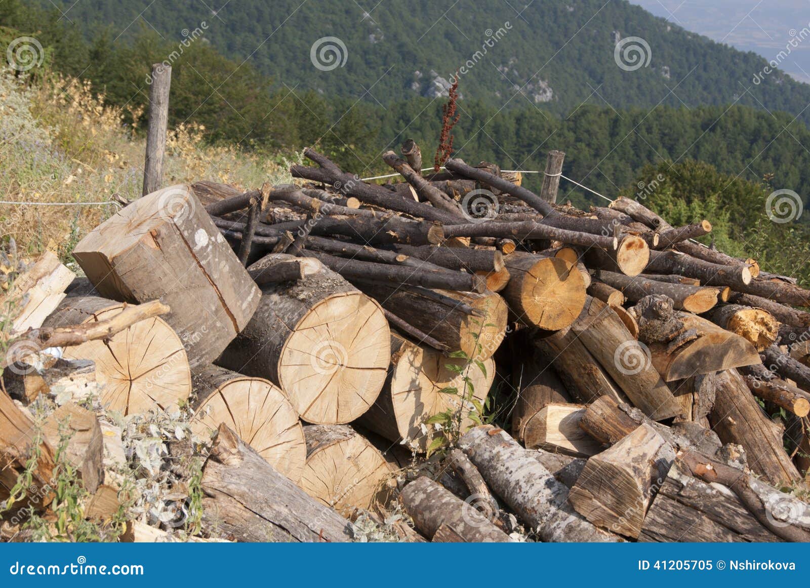 Wooden pile stock image. Image of wood, tree, feller - 41205705