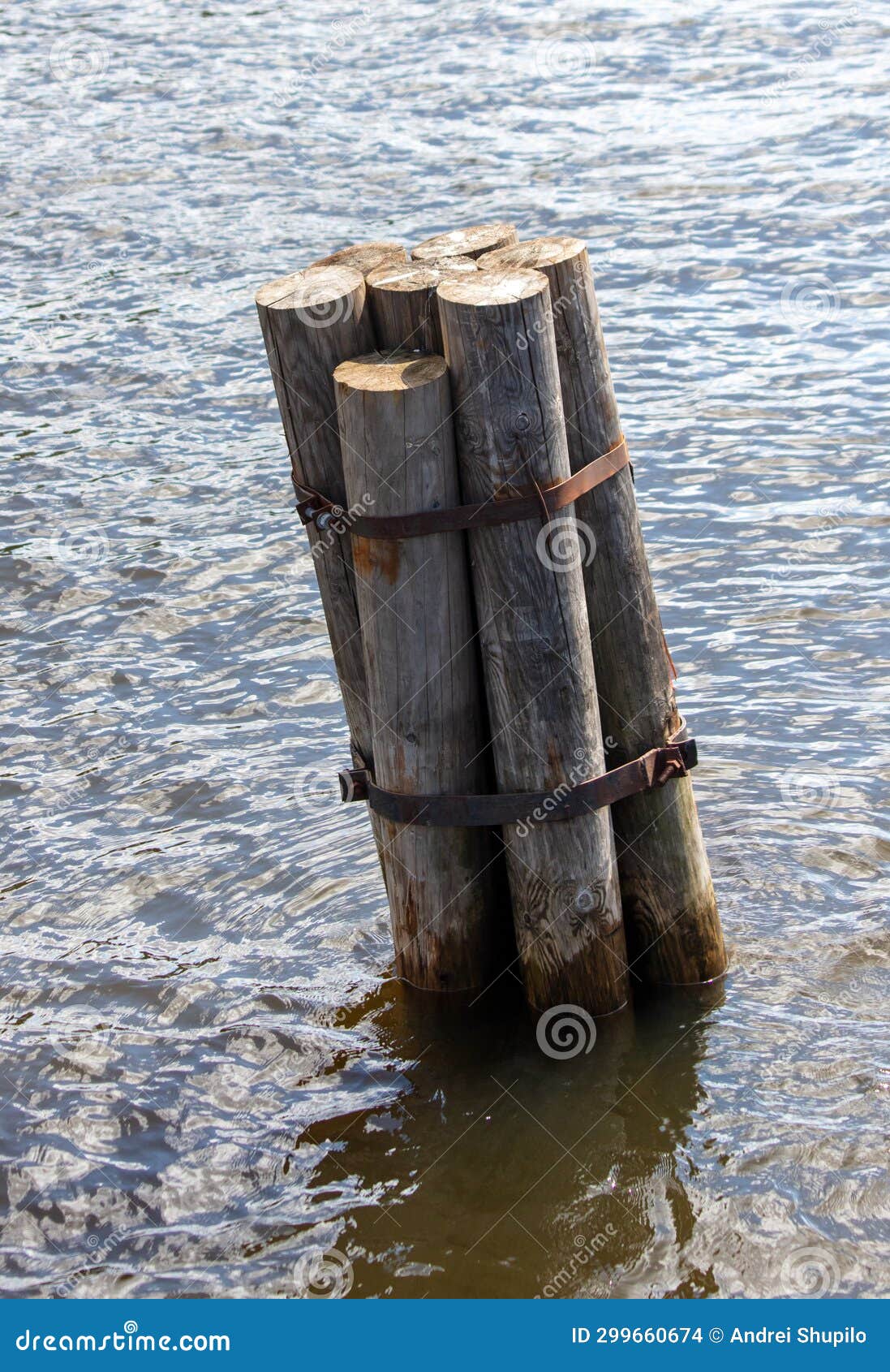 Wooden Piles Stick Out from the River Stock Photo - Image of nature ...