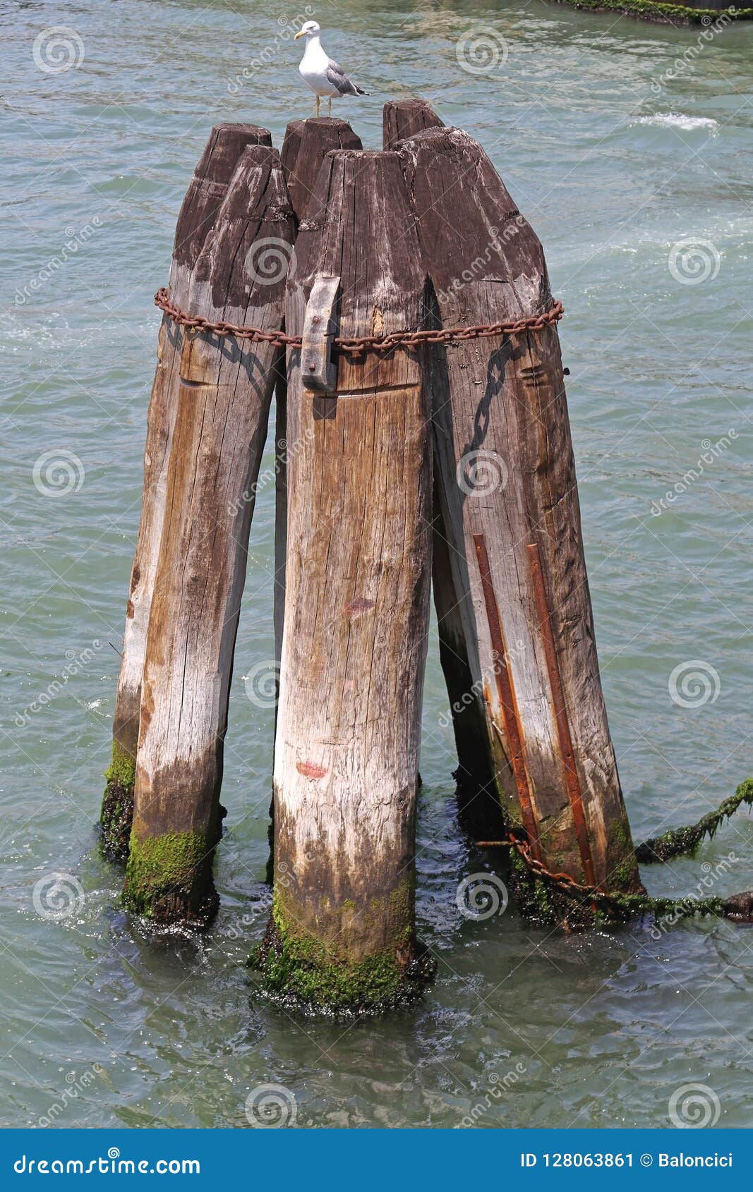 Wooden Pillars Venice stock image. Image of italy, veneto - 128063861