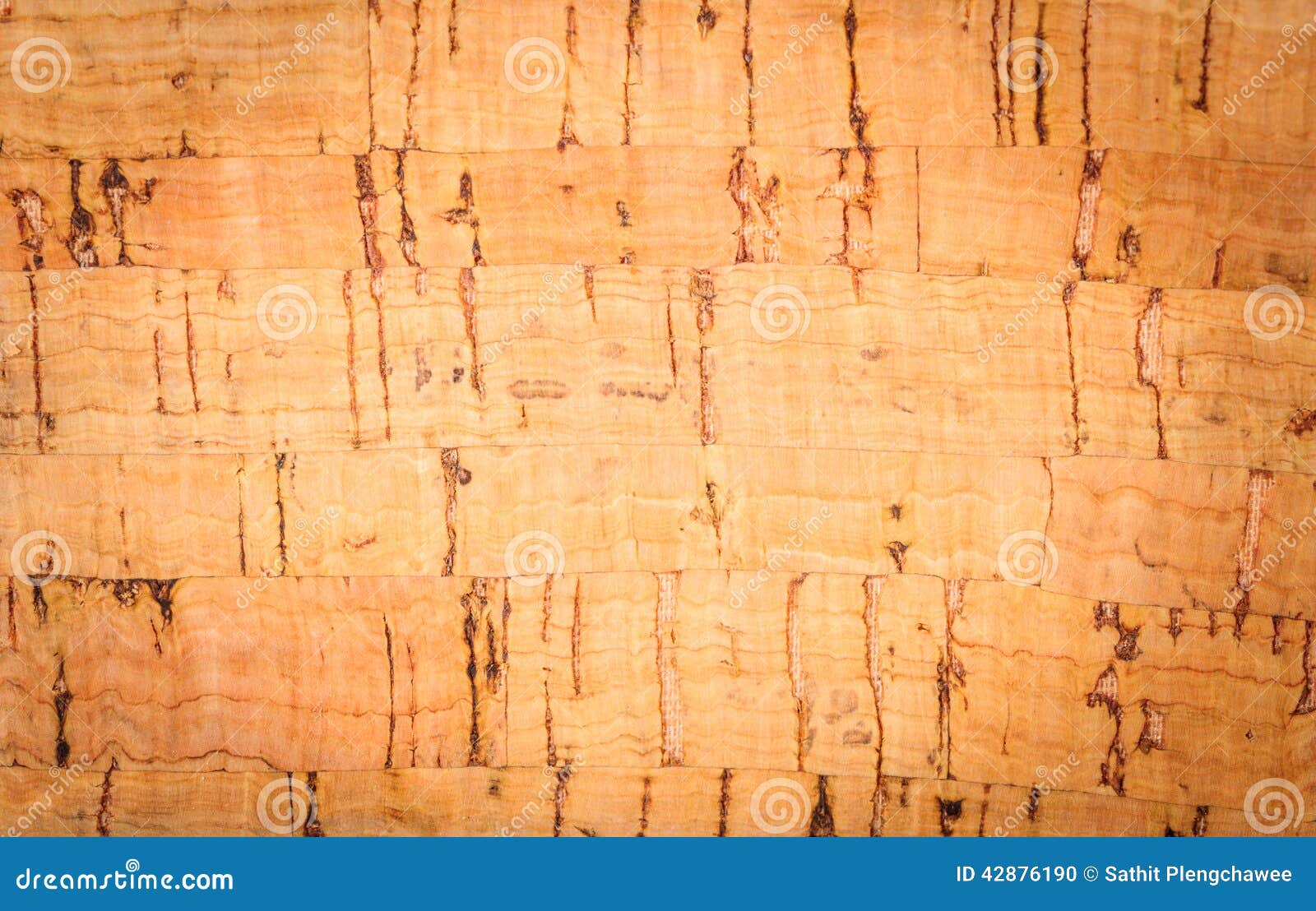 Wooden pith a texture stock photo. Image of pattern, cork - 42876190