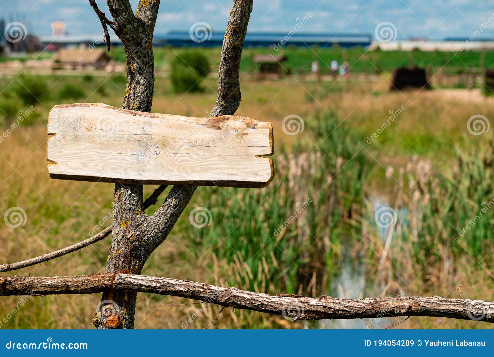 Wooden Placard on a Tree with an Empty Space for Text Stock Image ...