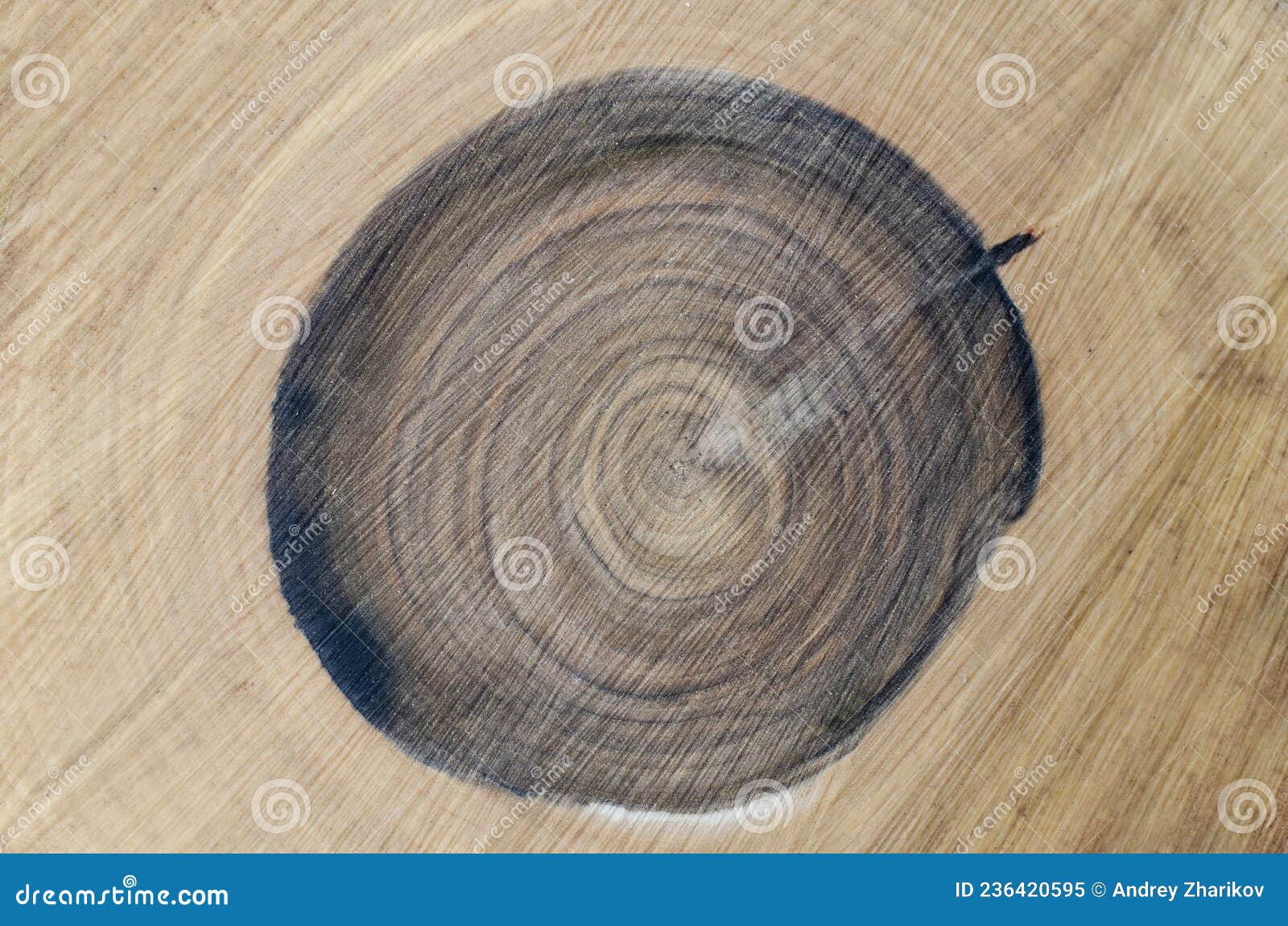 Wooden Plank. Cut a Tree. the Core of a Tree Trunk. Slab Cut, Cut. Bark ...