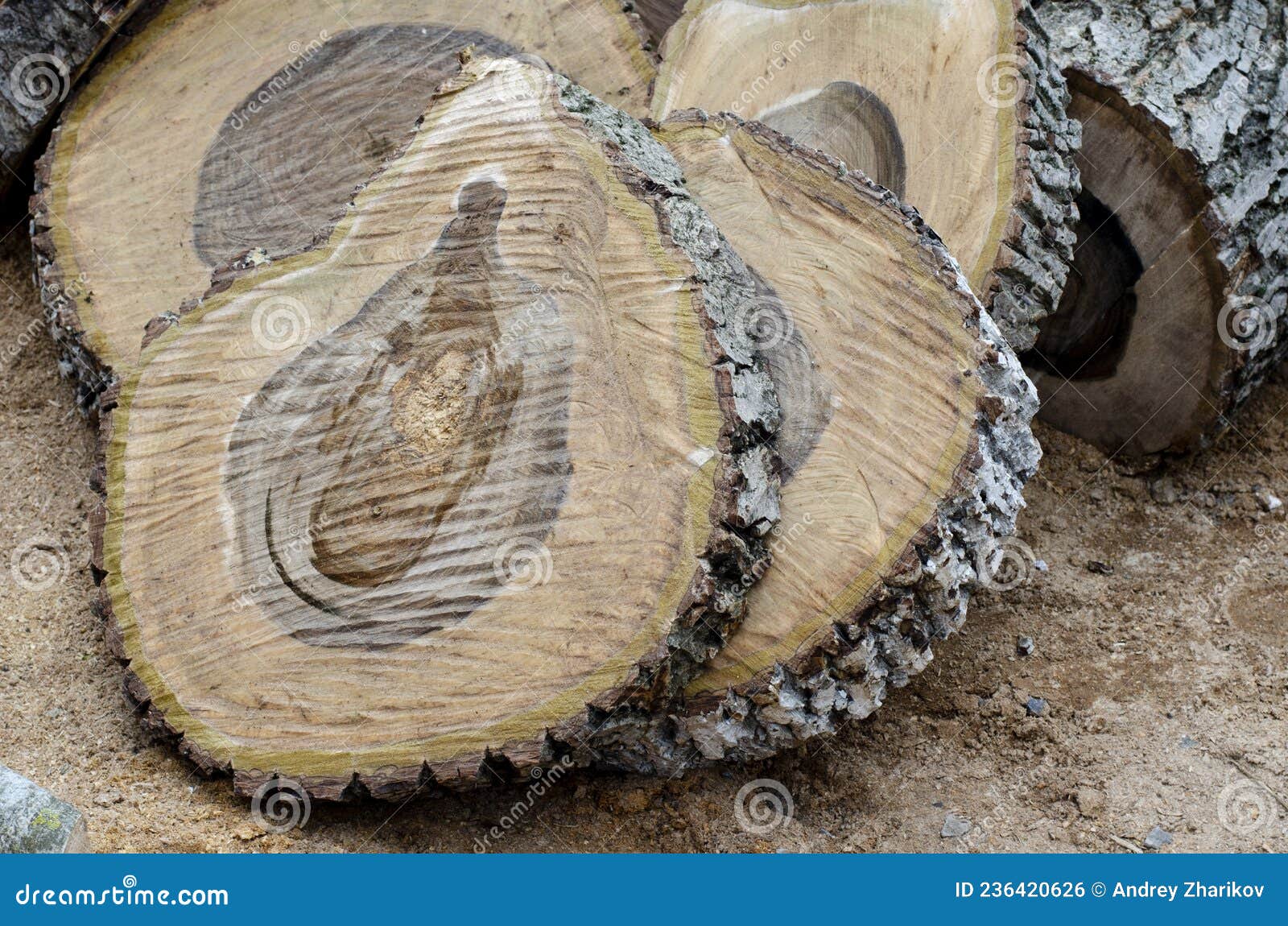 Wooden Plank. Cut a Tree. the Core of a Tree Trunk. Slab Cut, Cut. Bark ...
