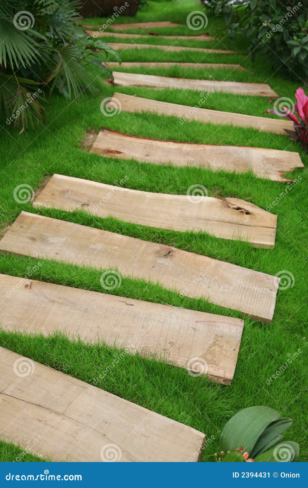 Wooden plank path stock image. Image of colors, outdoor - 2394431