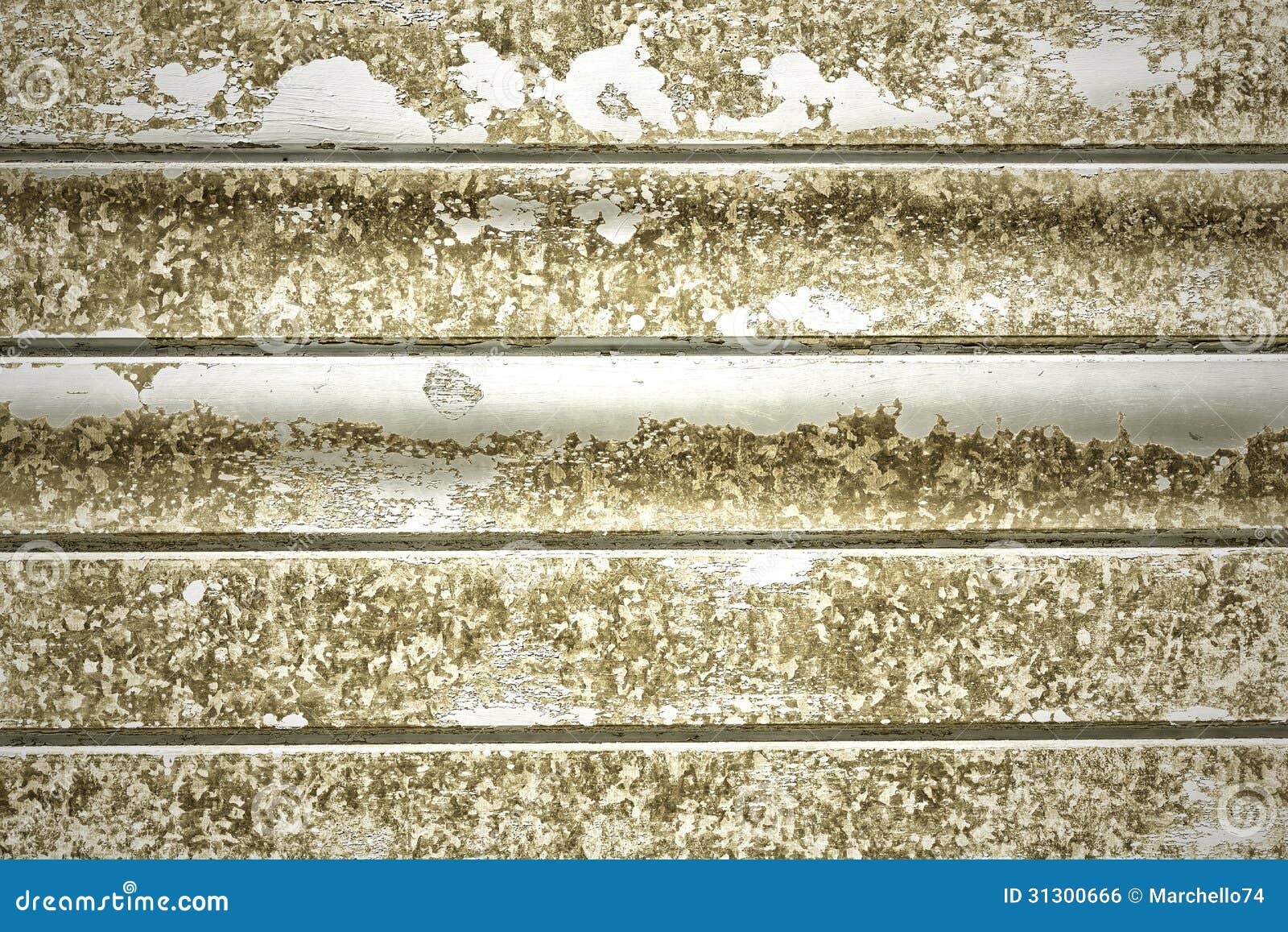 Wooden plank pattern stock photo. Image of board, lumber - 31300666