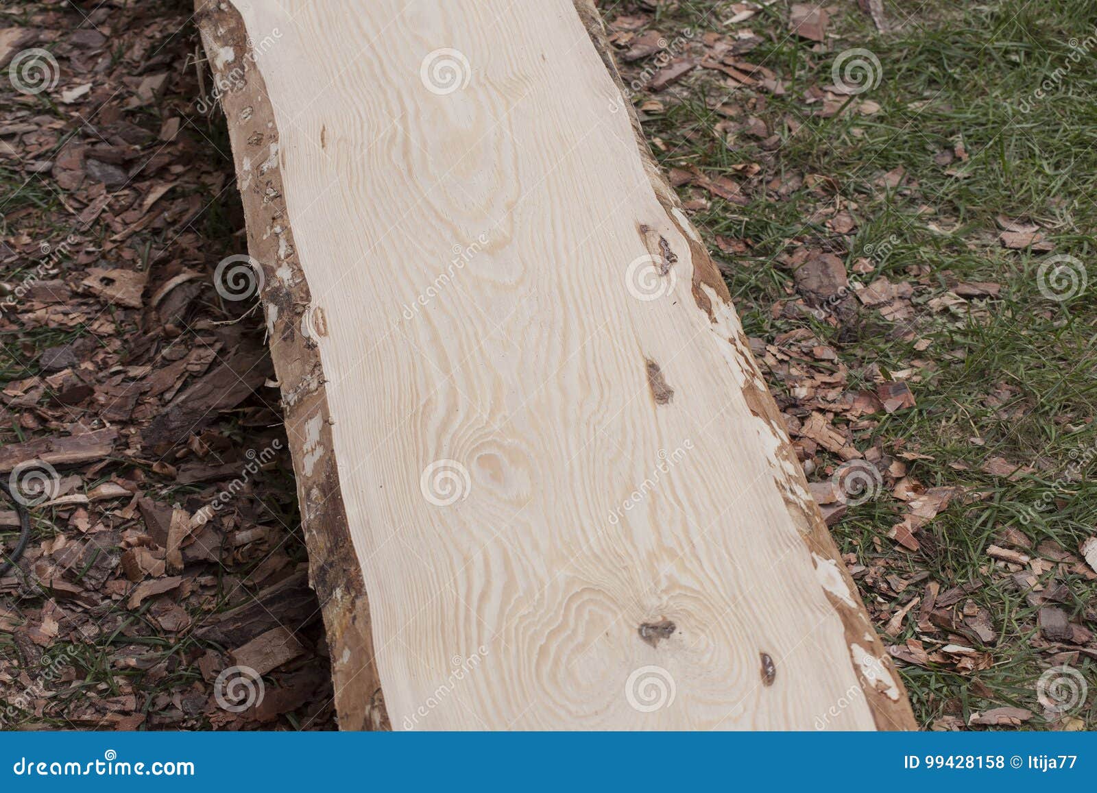Process Of Abrading Peel Of Wooden Plank From Pine For Log House ...