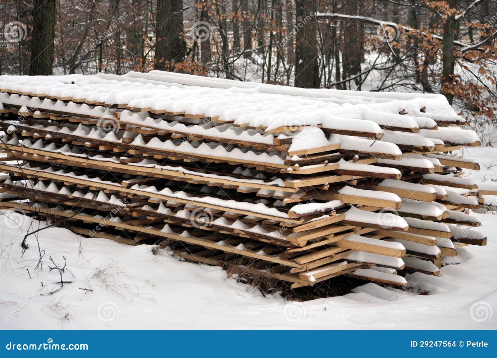 Wooden planks stock photo. Image of tree, wooding, view - 29247564