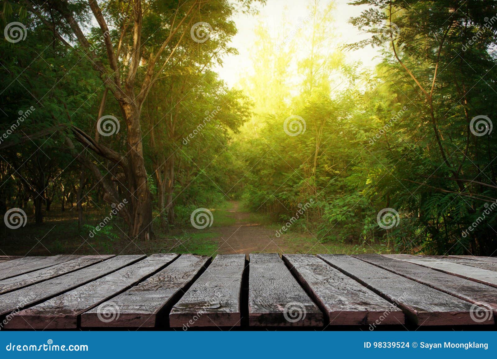 Small Pathway Through A Field Over A Bridge Stock Image | CartoonDealer ...