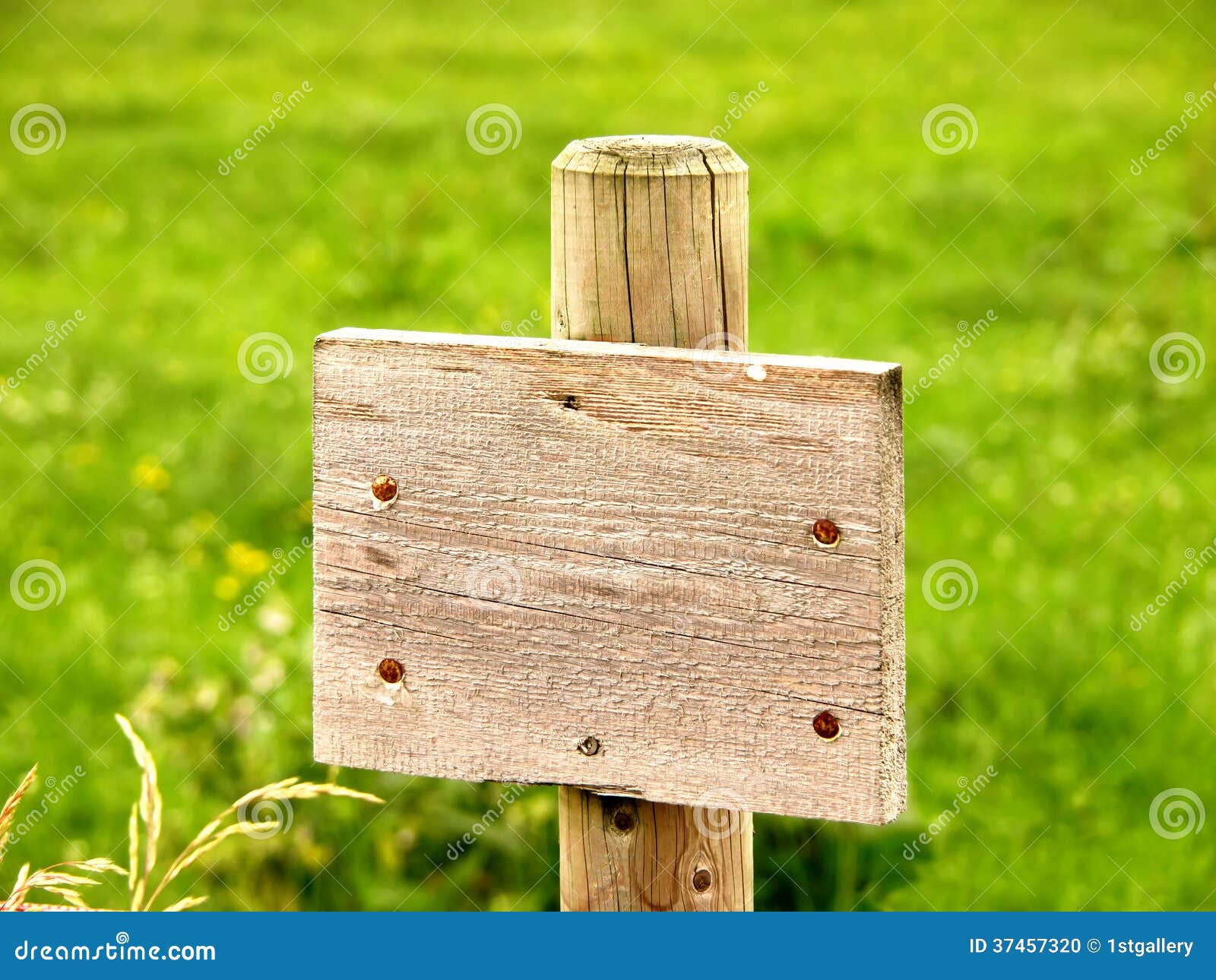 Wooden plate sign (8) stock photo. Image of billboard - 37457320