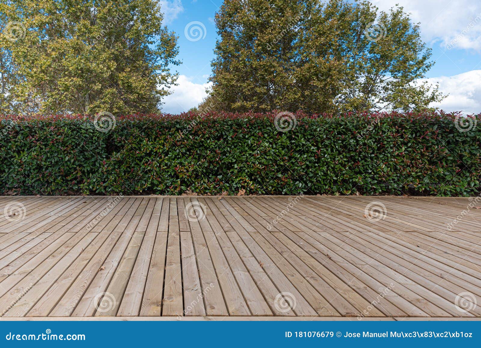 Wooden Platform with Plant Fence, Copy-space Stock Image - Image of ...