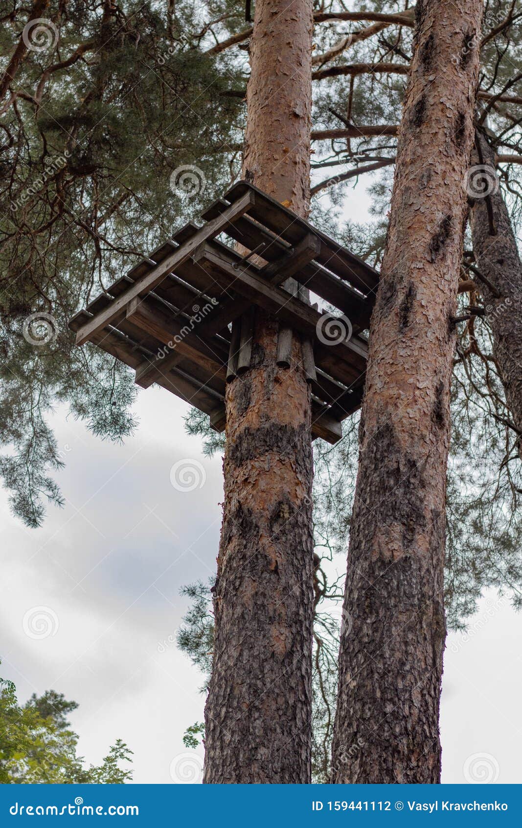 Wooden Platform in the Rope Climb Park Stock Photo - Image of forest ...