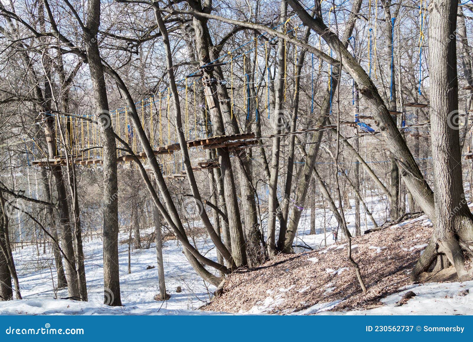 Wooden Platform on Tree in Rope Climb Park in Spring Forest. Wooden ...