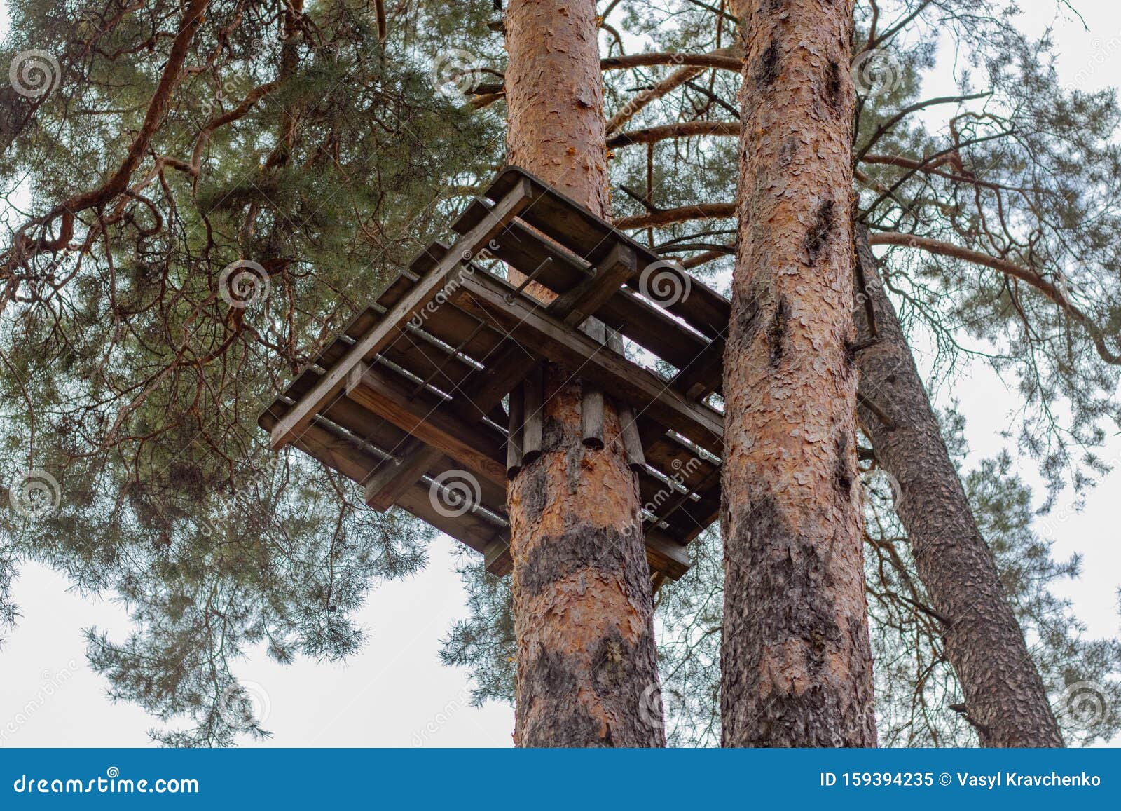 Wooden Platform for Treehouse in Climb Park Stock Image - Image of ...
