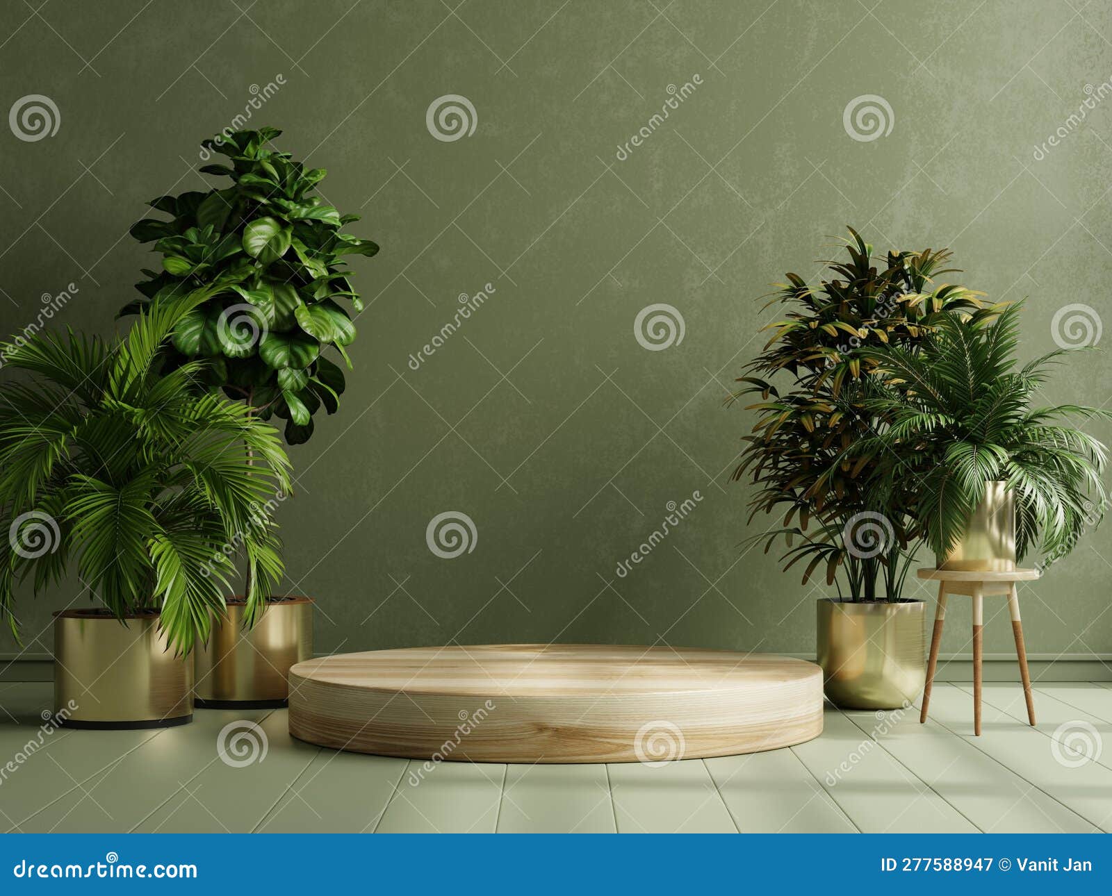 Wooden Podium Display with Plant Inside the Green Room Stock ...