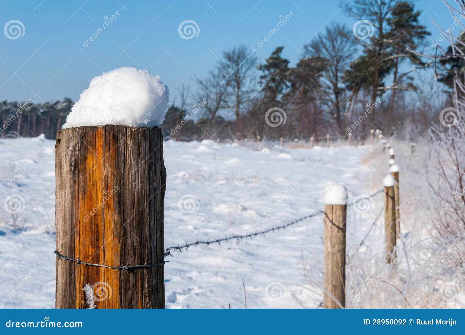 Wooden Pole Covered with Snow Stock Photo - Image of blue, landscape ...