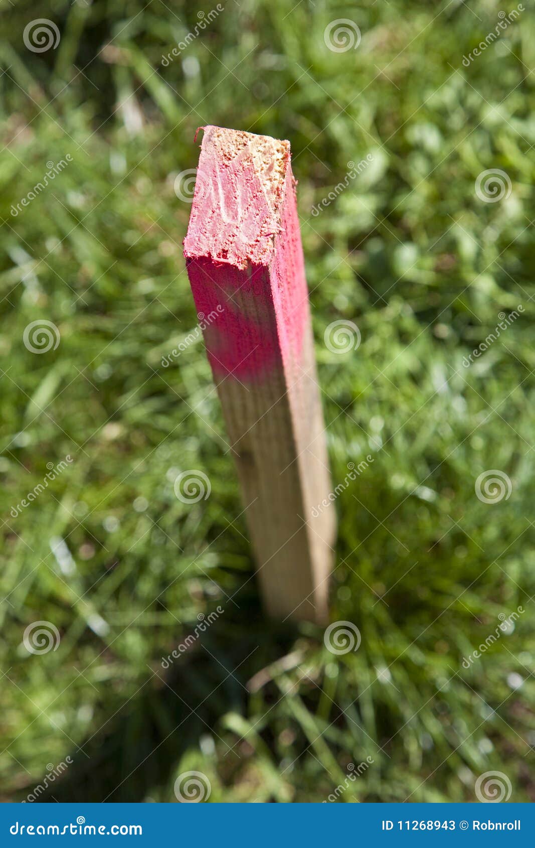 Wooden Pole for Field Survey Stock Image - Image of manual, geodesist ...
