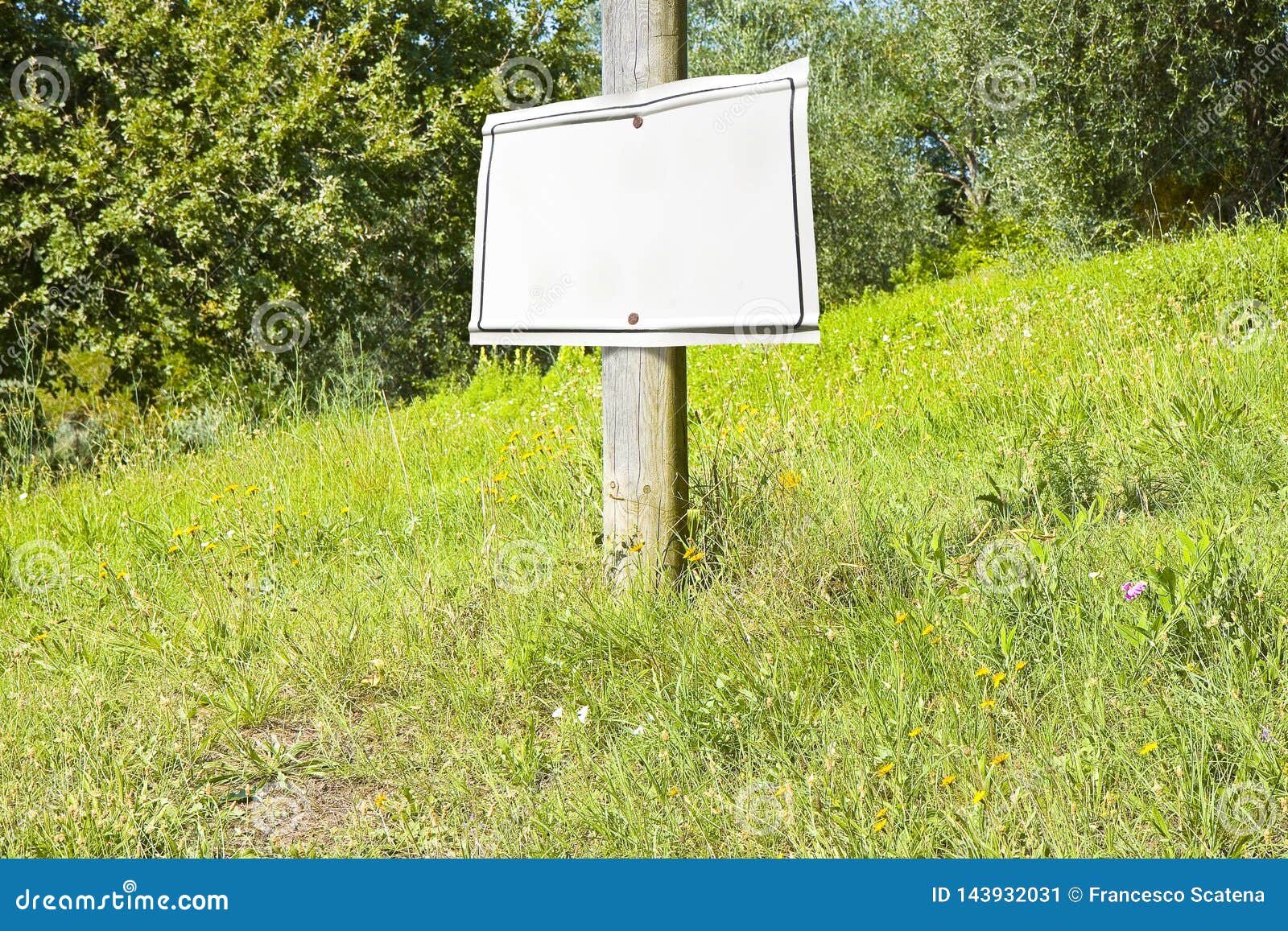 Wooden Pole on a Green Meadow with Blank Sign Indicating Stock Image ...